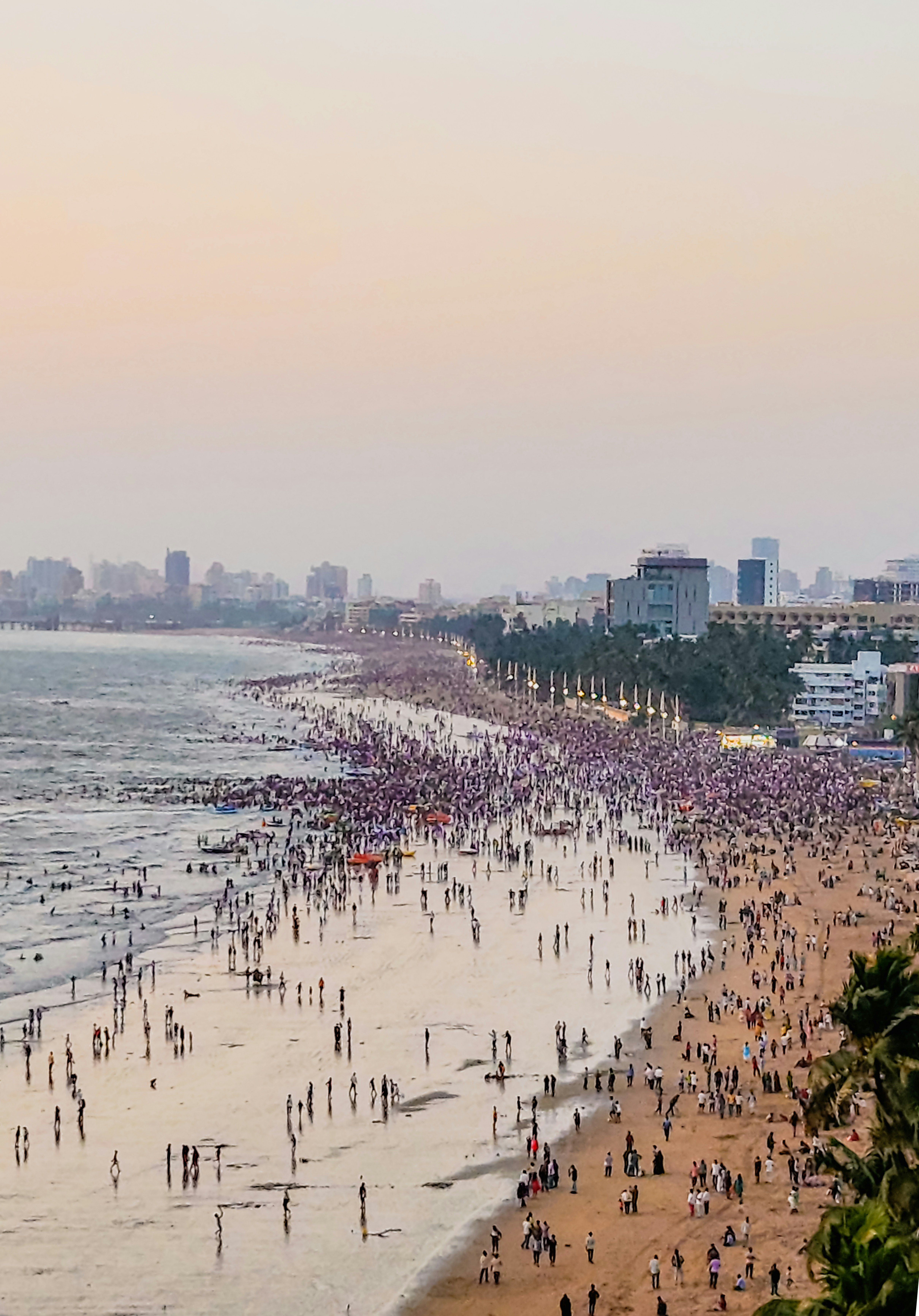 Evening Gathering by the Shoreline