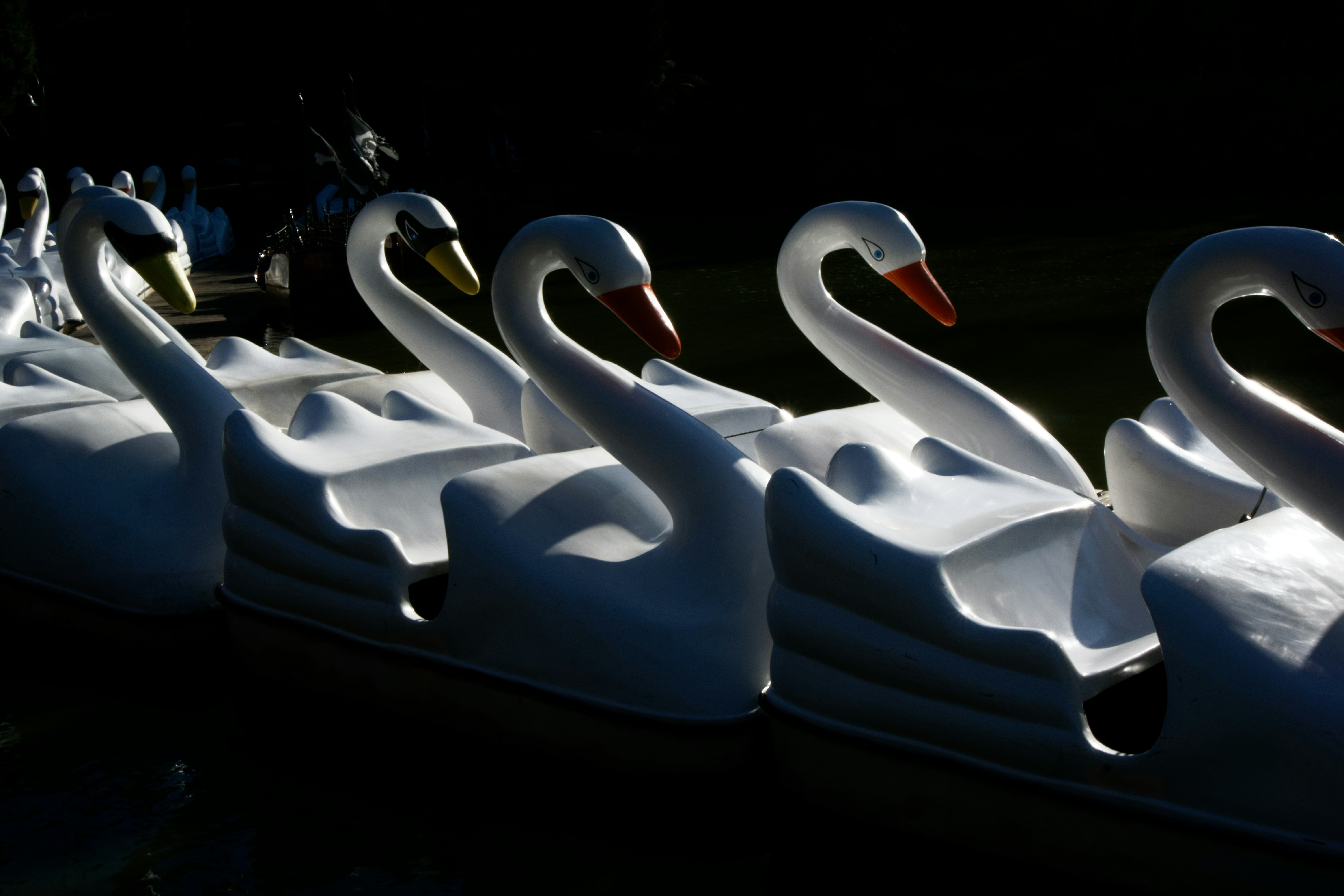 Midnight Parade of Swan Silhouettes on a Shadowed Lake