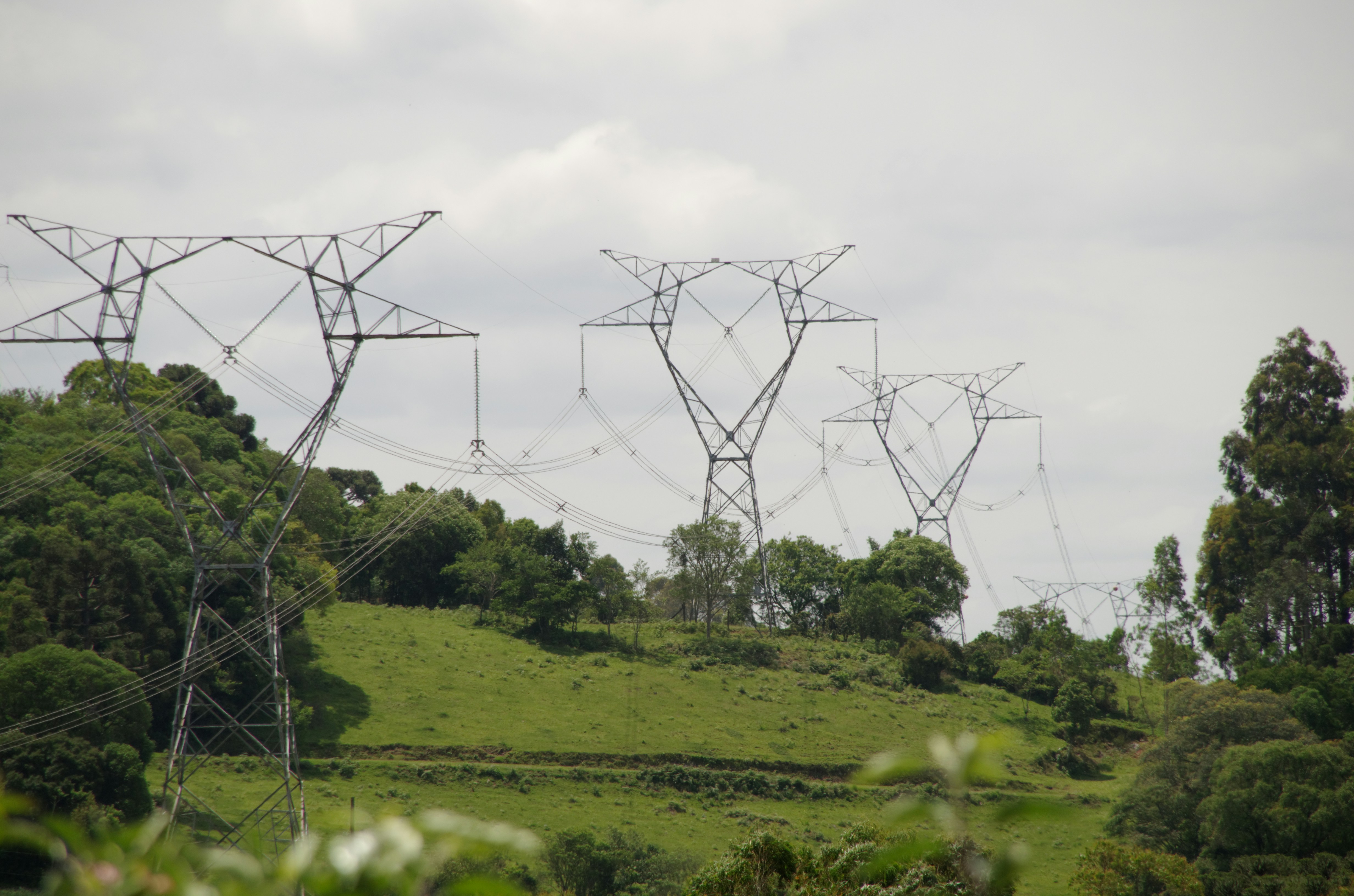 Lattice Giants on the Green Ridge