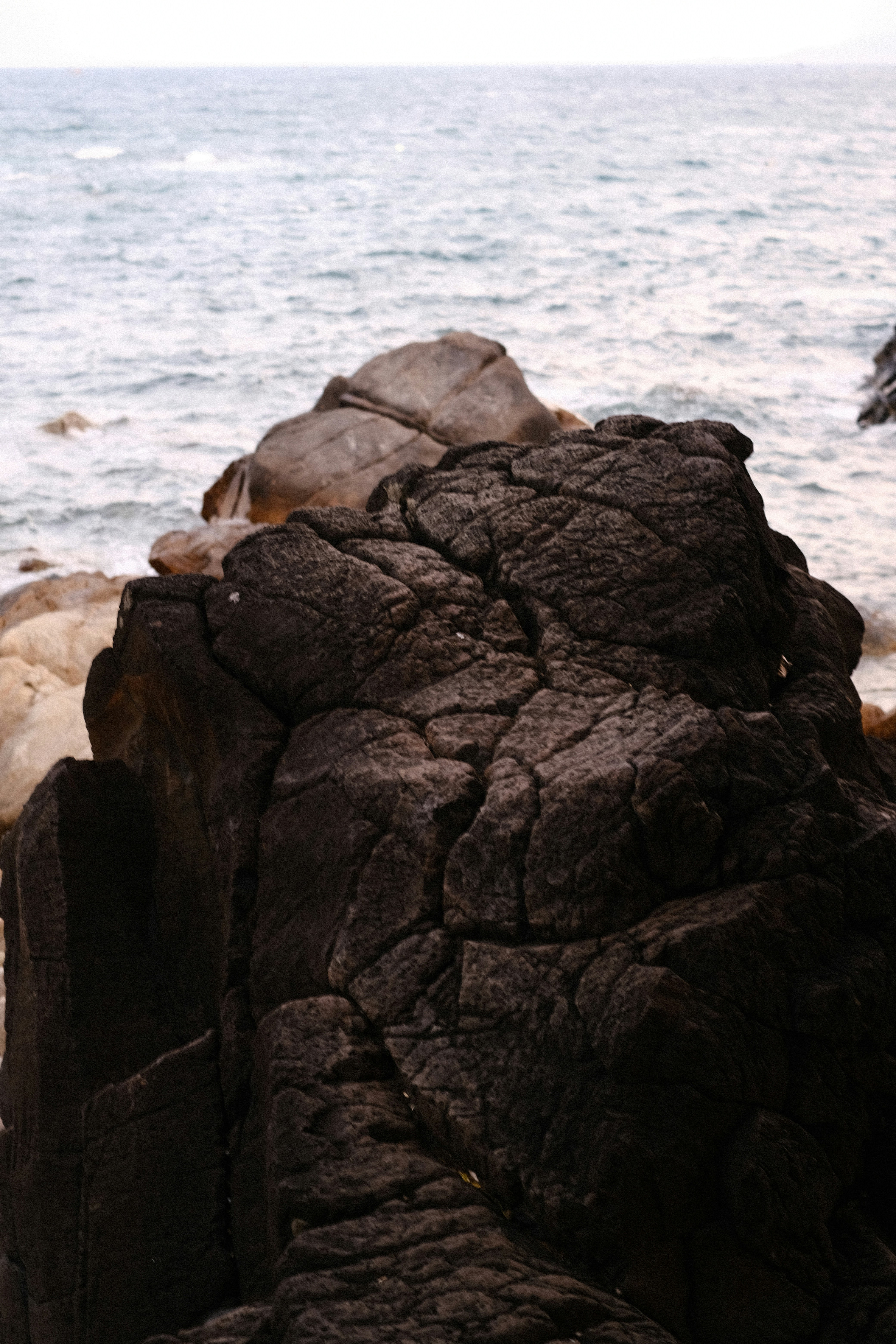 Textured black rocks rise against the backdrop of a serene sea, illustrating the dynamic interplay between land and water.