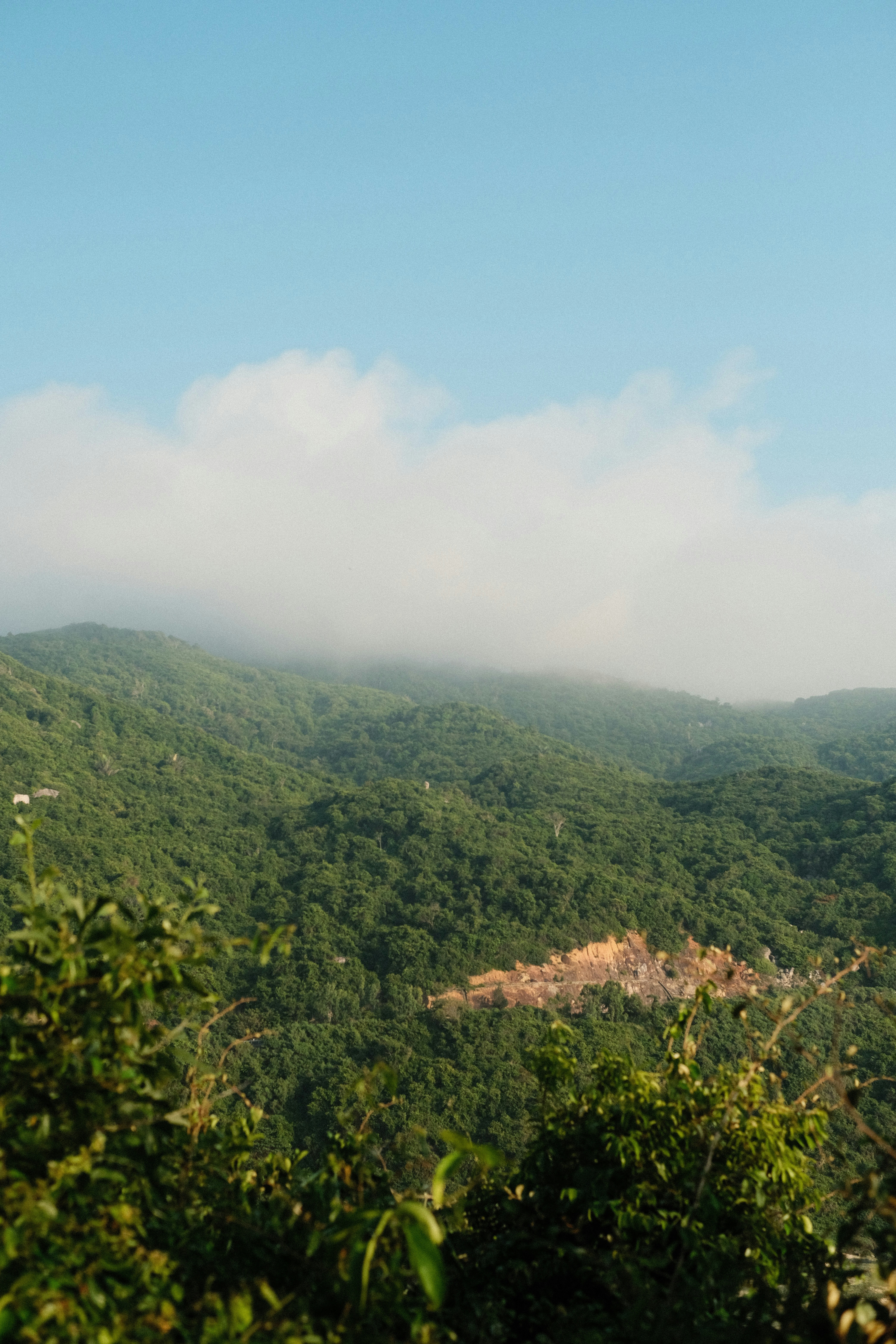 Whispers of the Hills: A Hidden Settlement
