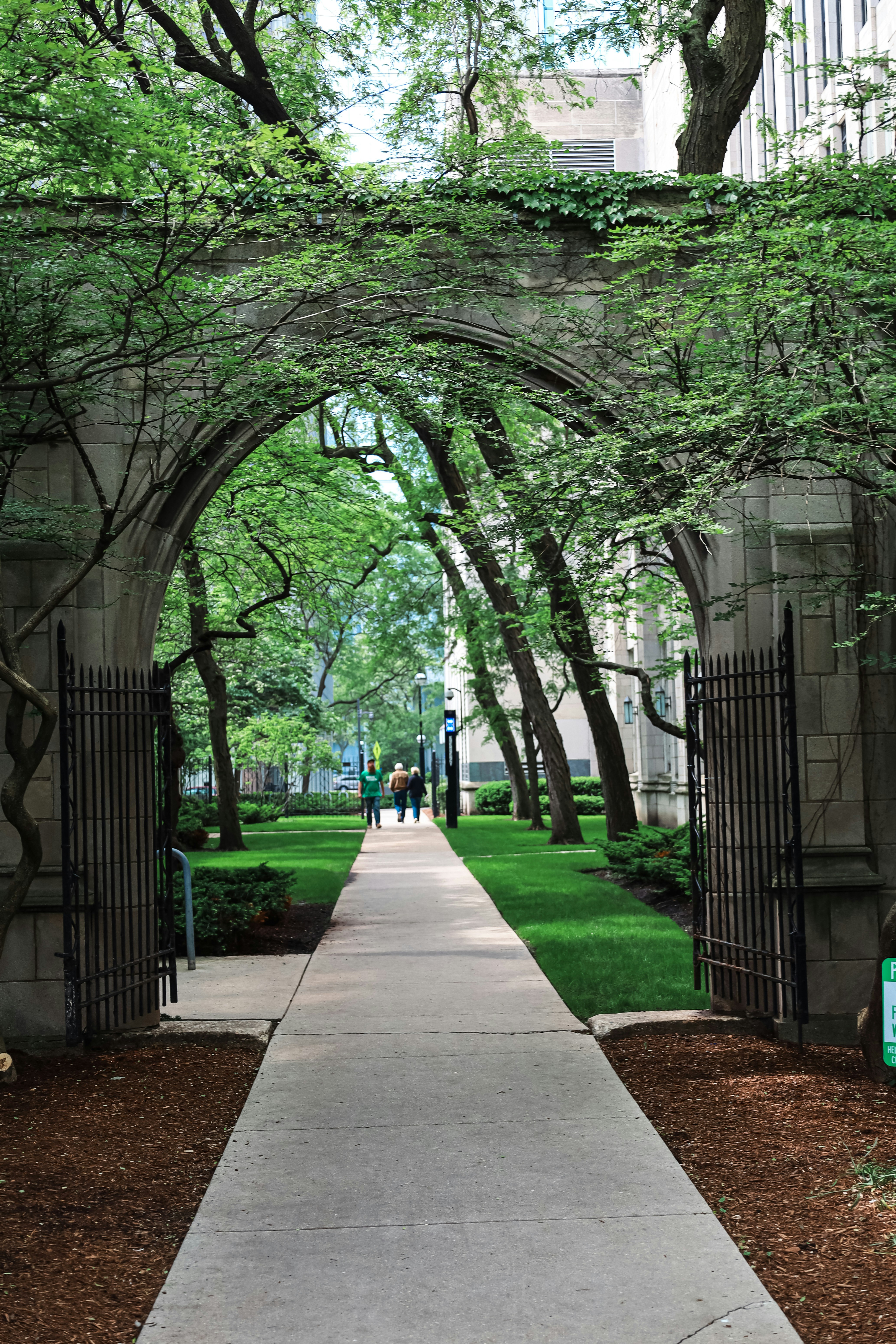 Gateway to Tranquility: A Serene Stroll Through Nature's Archway