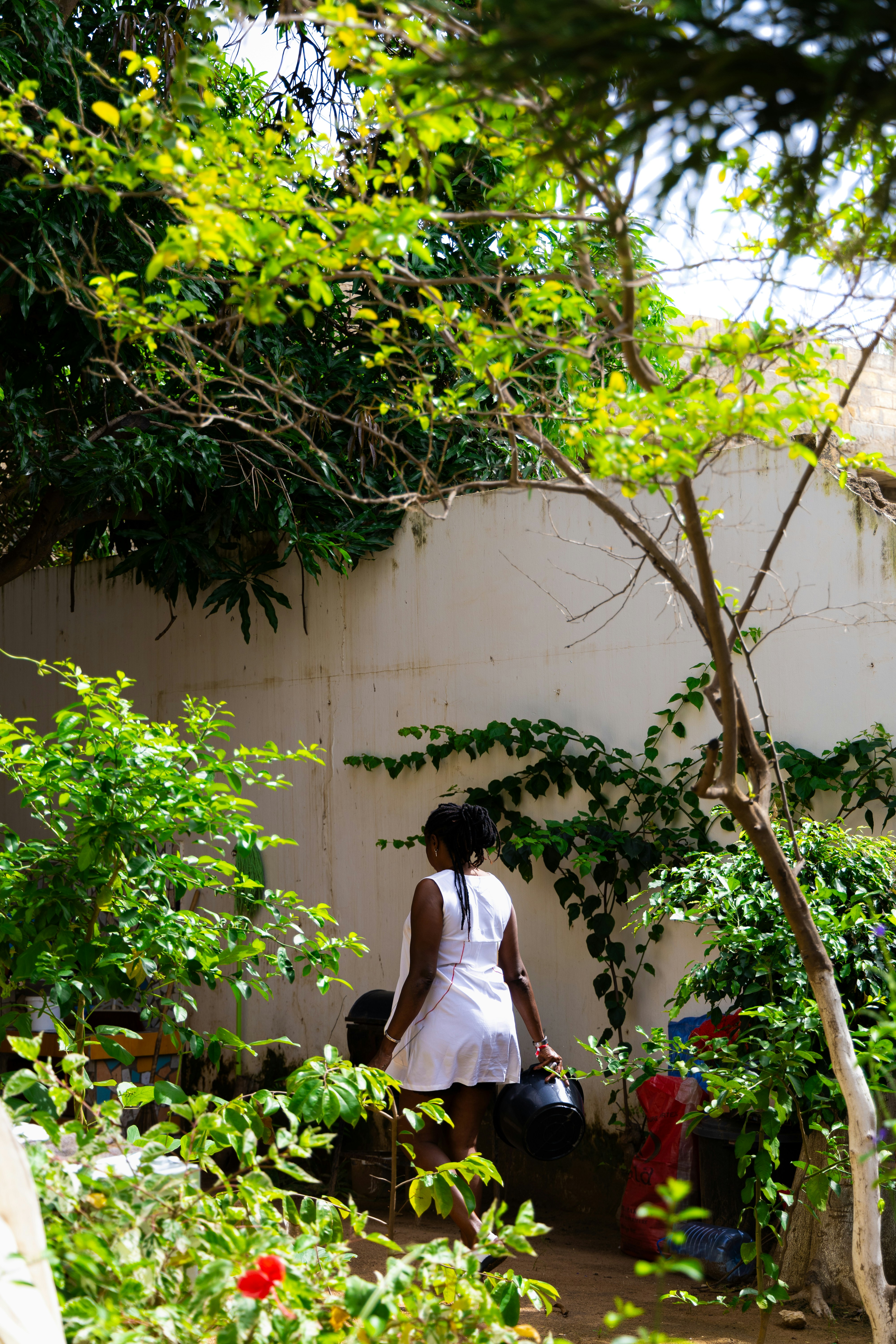 A woman carries a jug through a lush garden.