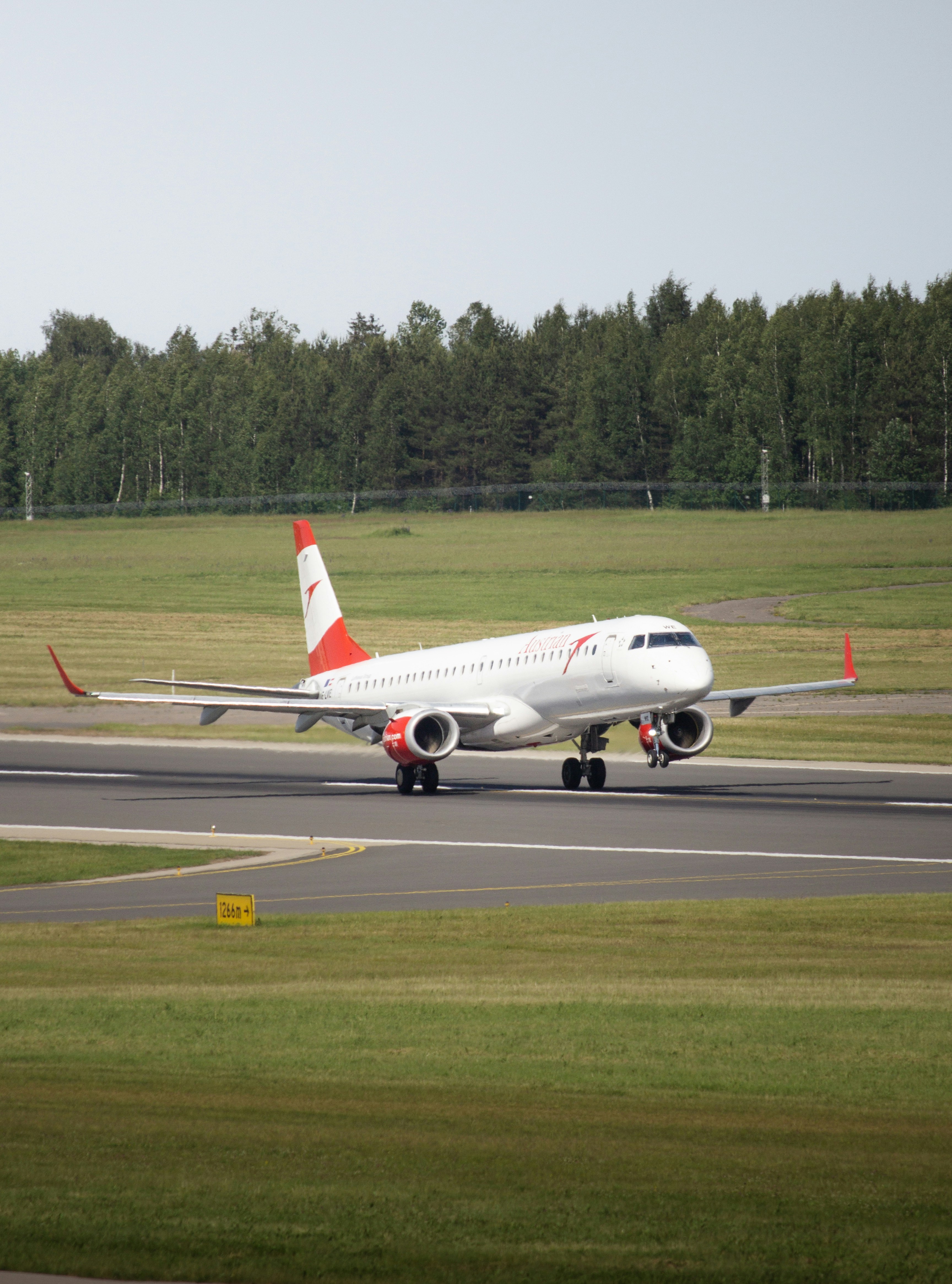 Taxiing in a Quiet Canopy: White Jet with Red Tips on a Rural Runway