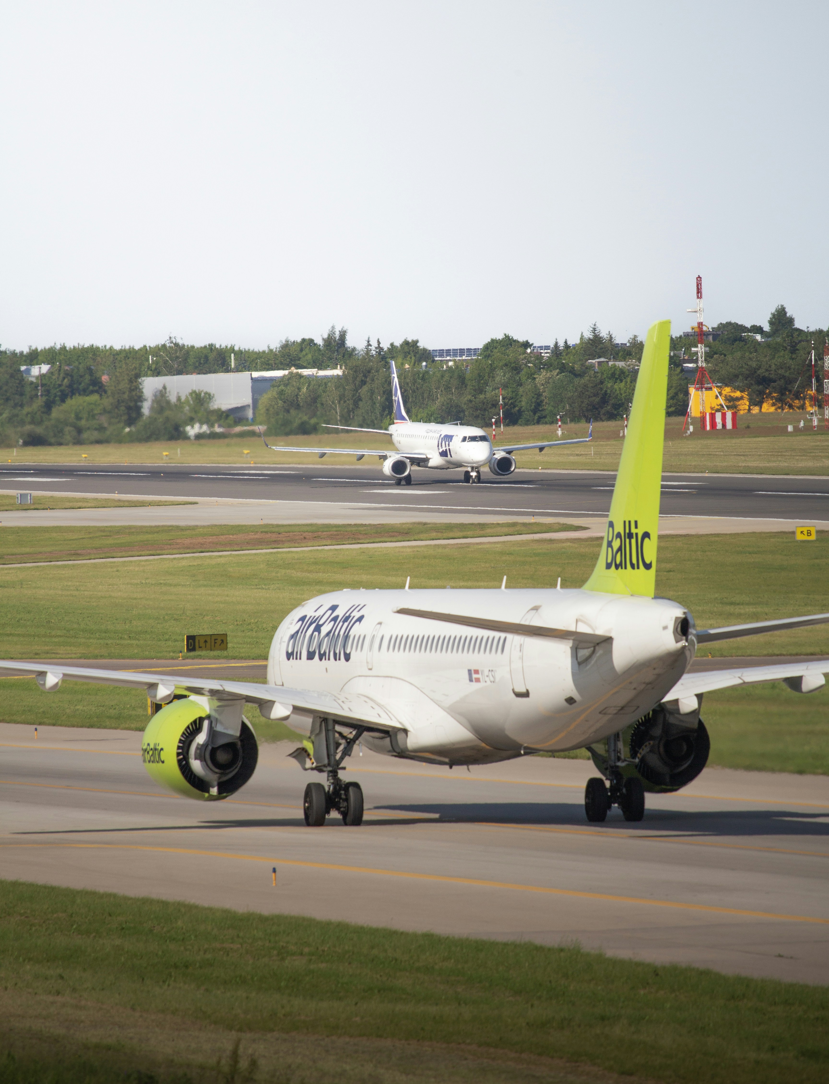 A Dance of Wings on the Tarmac