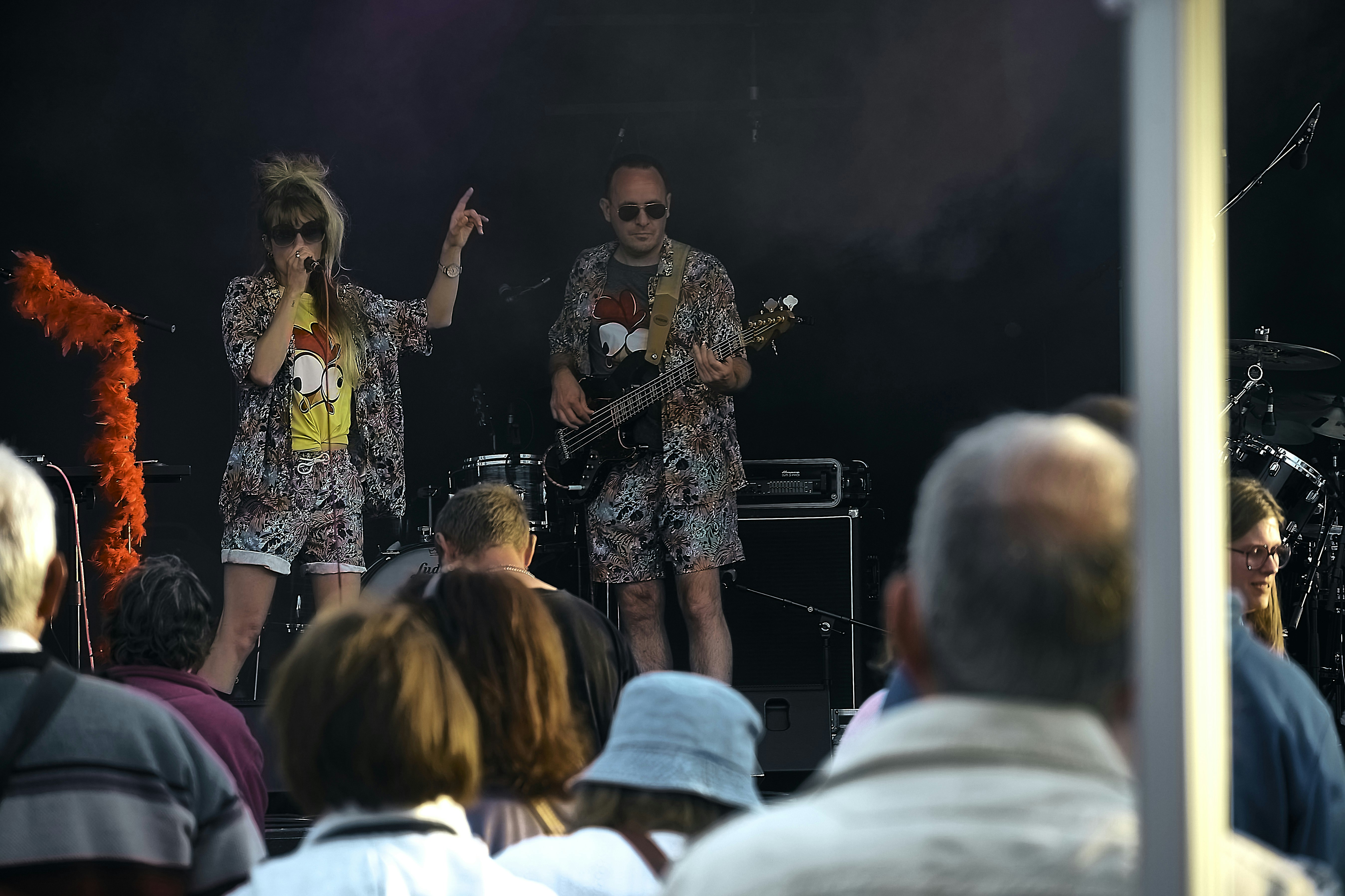 Rhythmic Revelry: A Summer Stage Performance