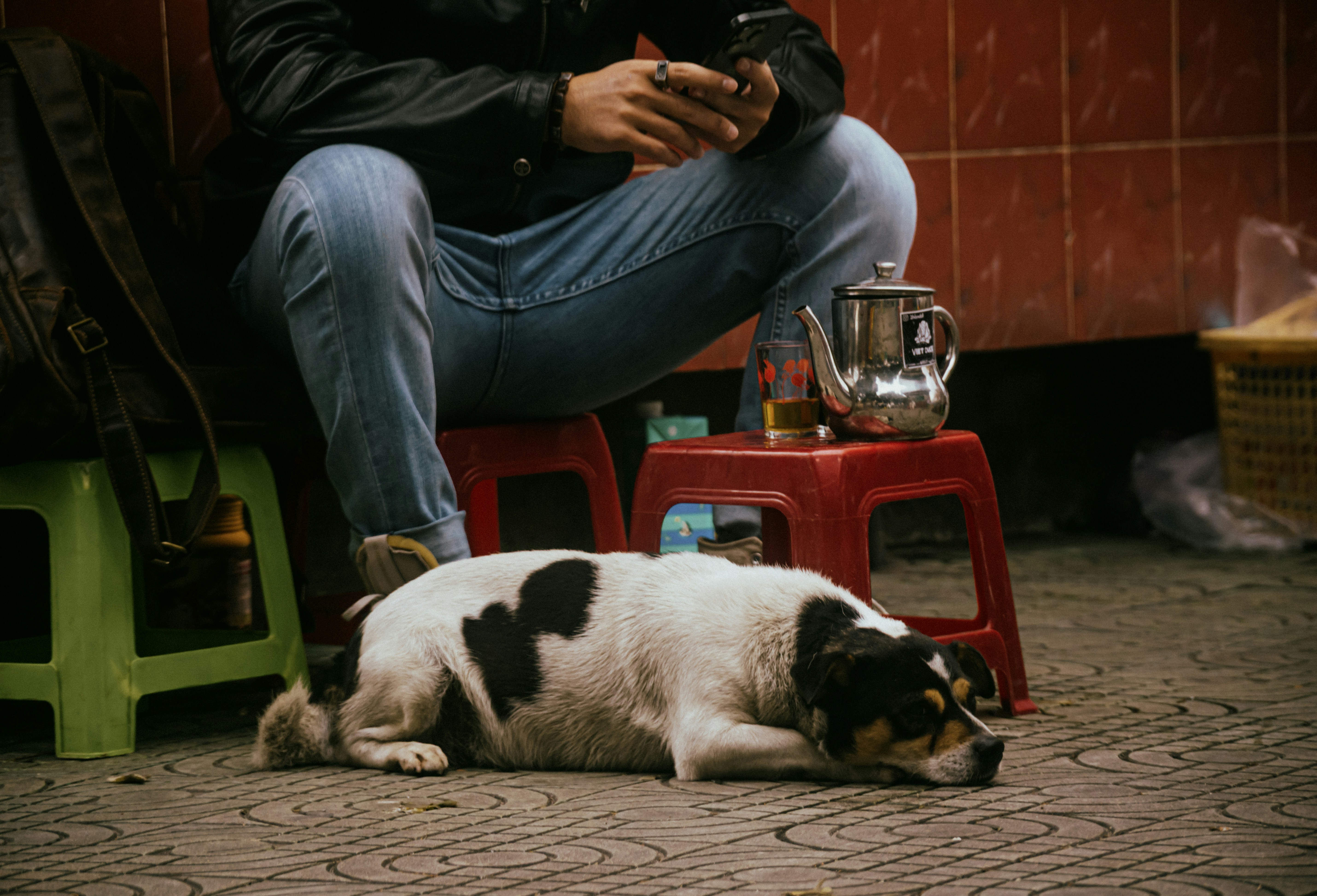 A relaxed dog sprawled on the ground beside a person using a smartphone, with a teapot and cups on colorful stools nearby.