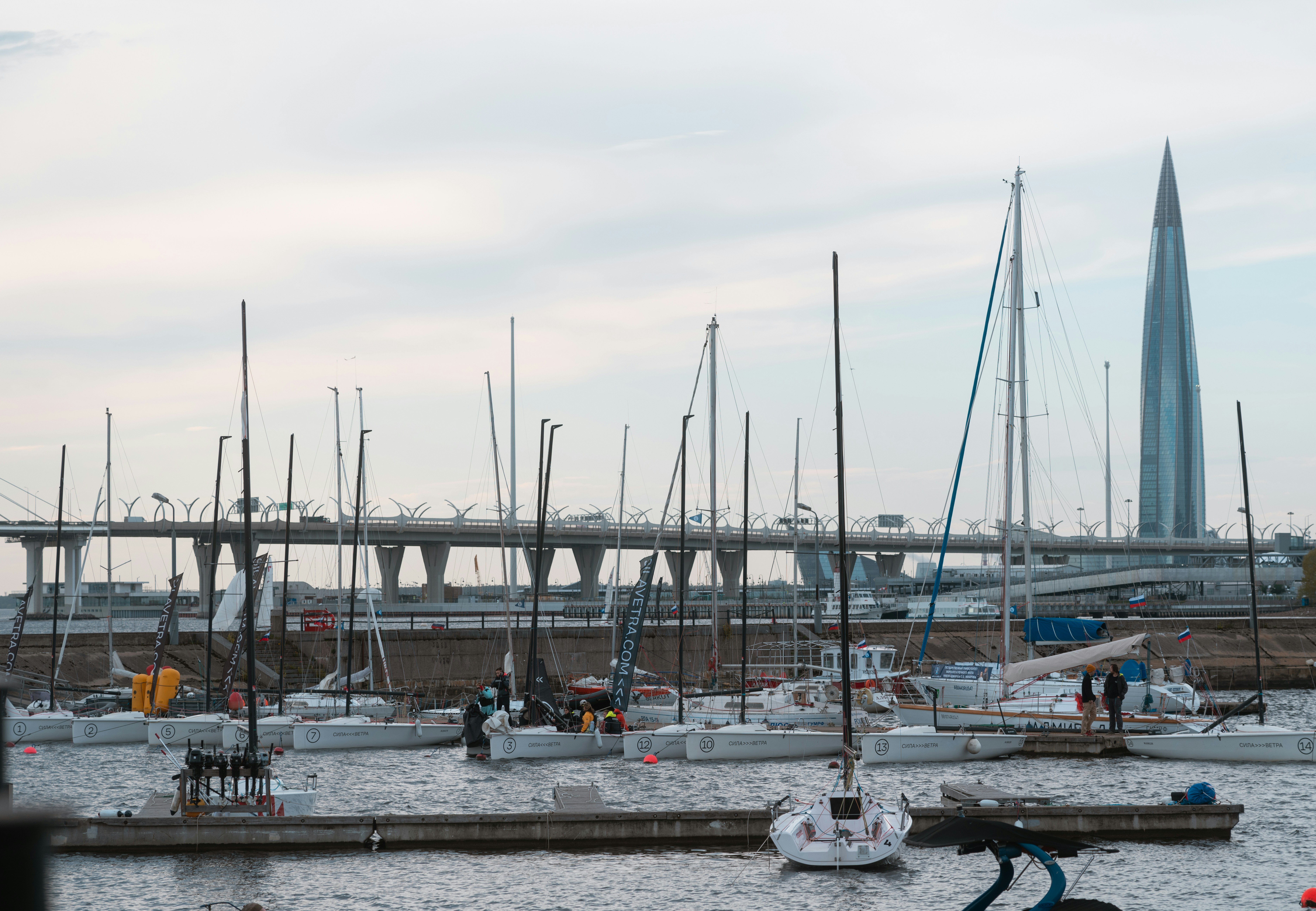 Sailboats anchored in a bustling marina, with a striking modern skyscraper in the background and a bridge connecting the waterfront.