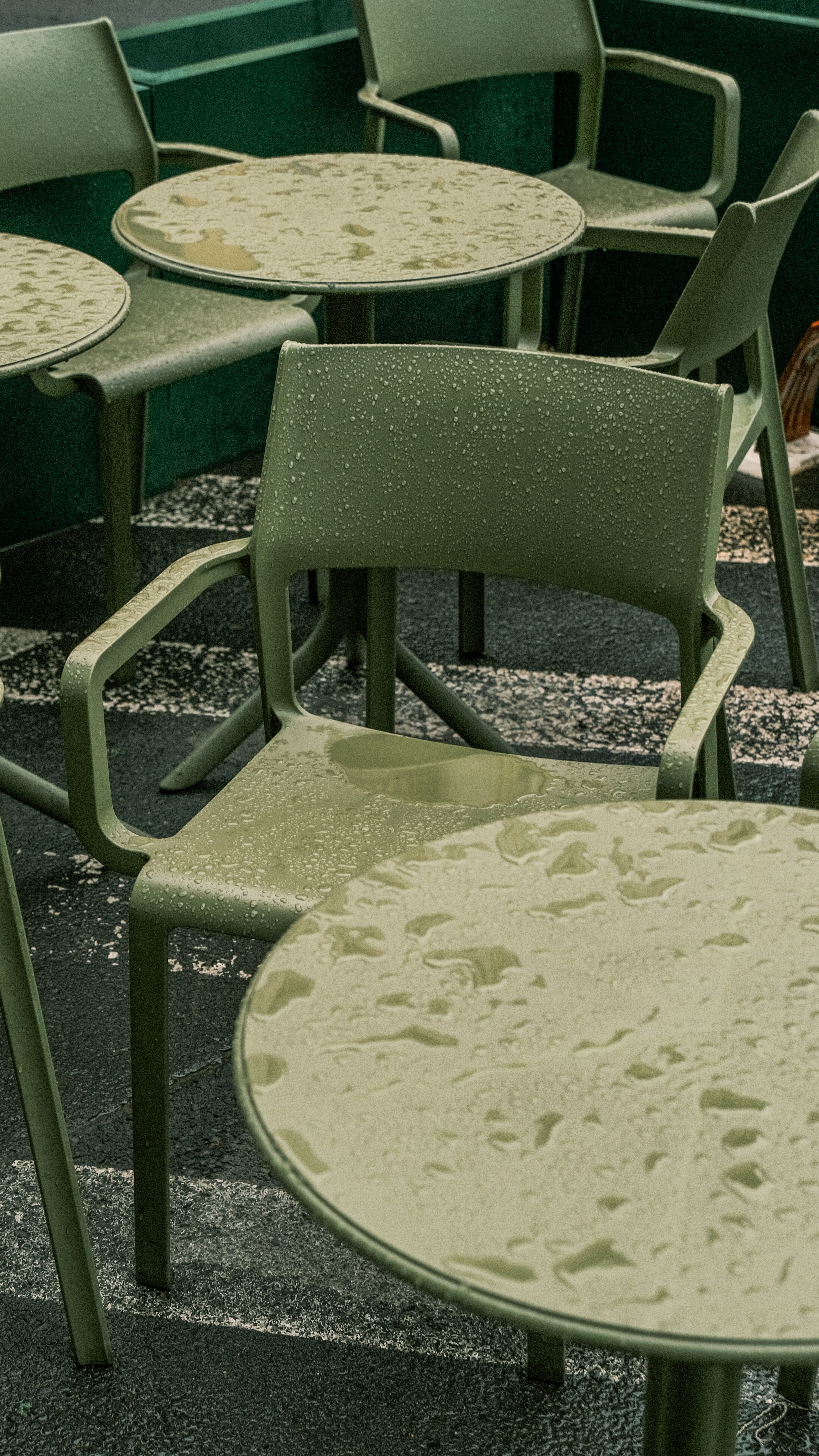 Raindrops on Green Serenity