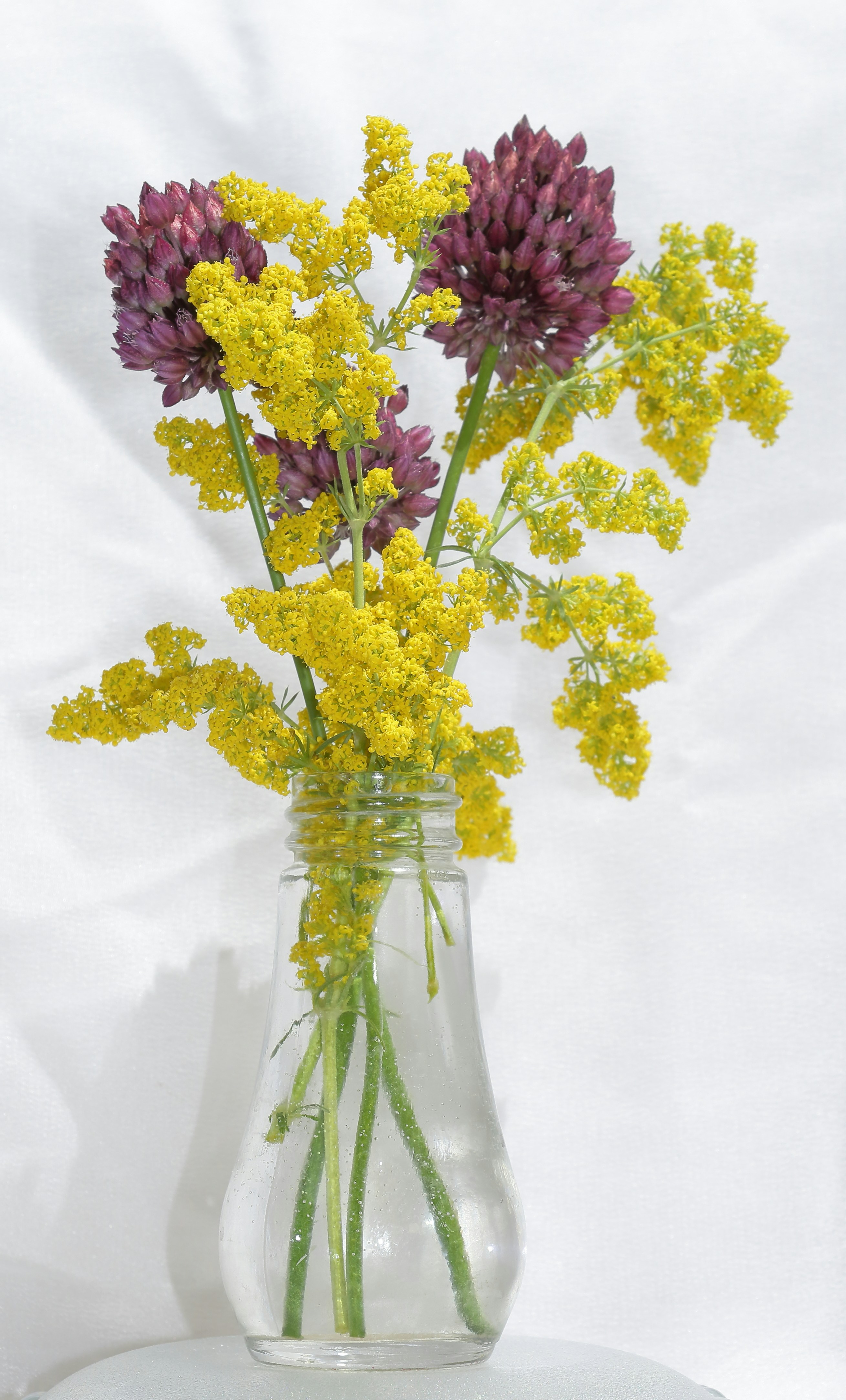 Vase of Contrast: Golden Sprays and Amethyst Blossoms in Glass