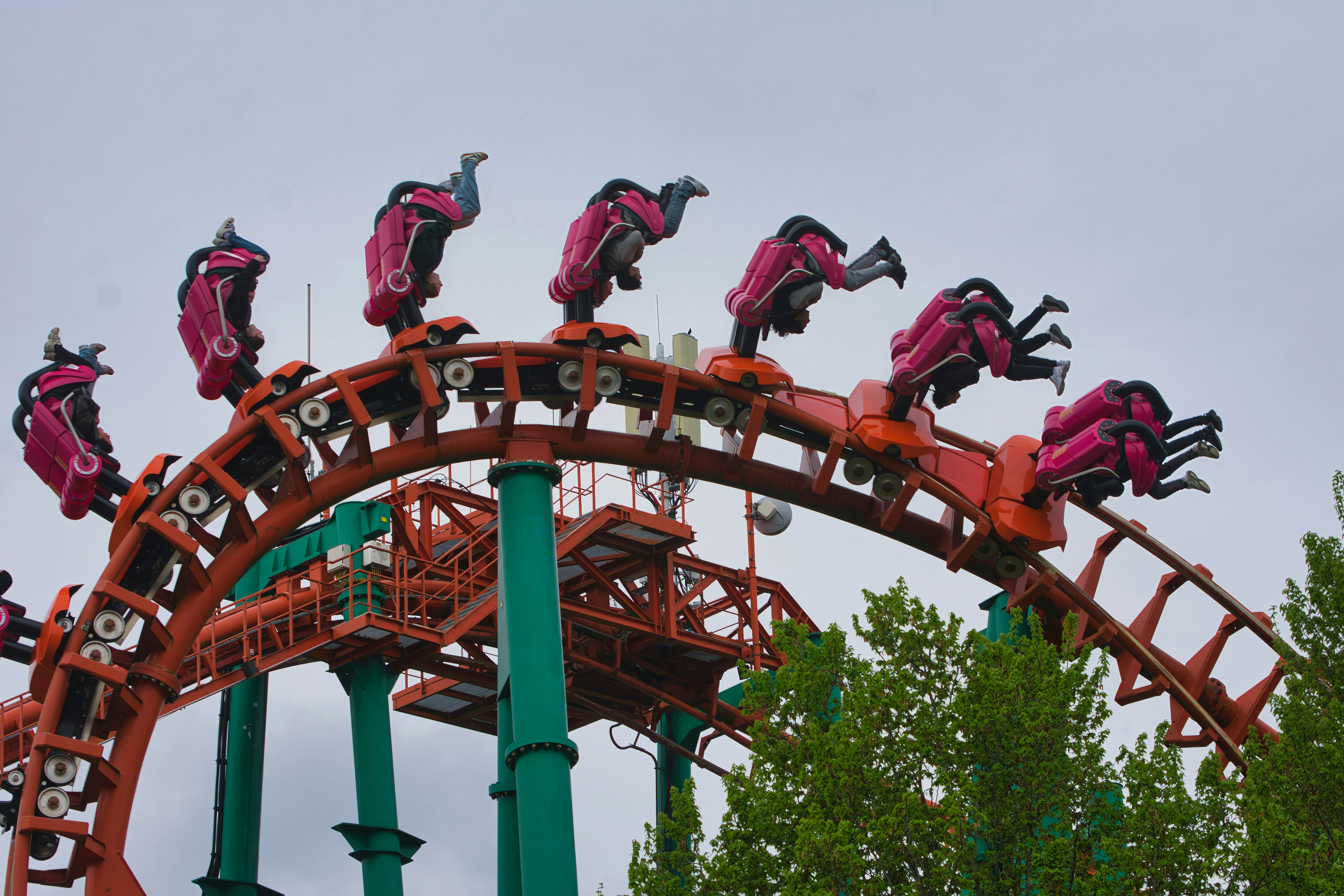 Midair Crest: Pink Carriages on the Orange Roller-Loop
