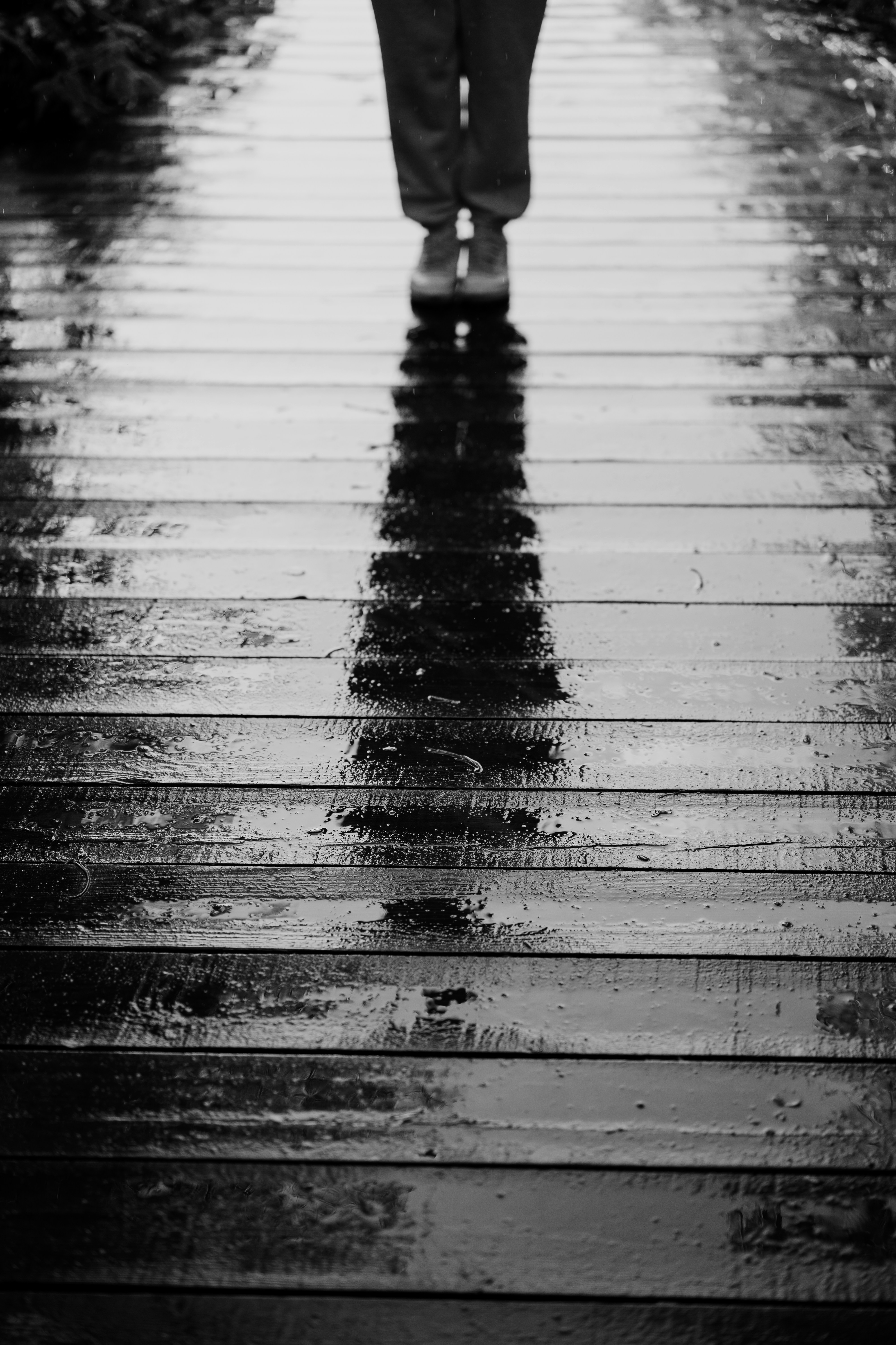 A figure walks along a rain-soaked wooden path, creating a striking reflection on the glossy surface. The monochrome tones enhance the atmosphere of introspection.