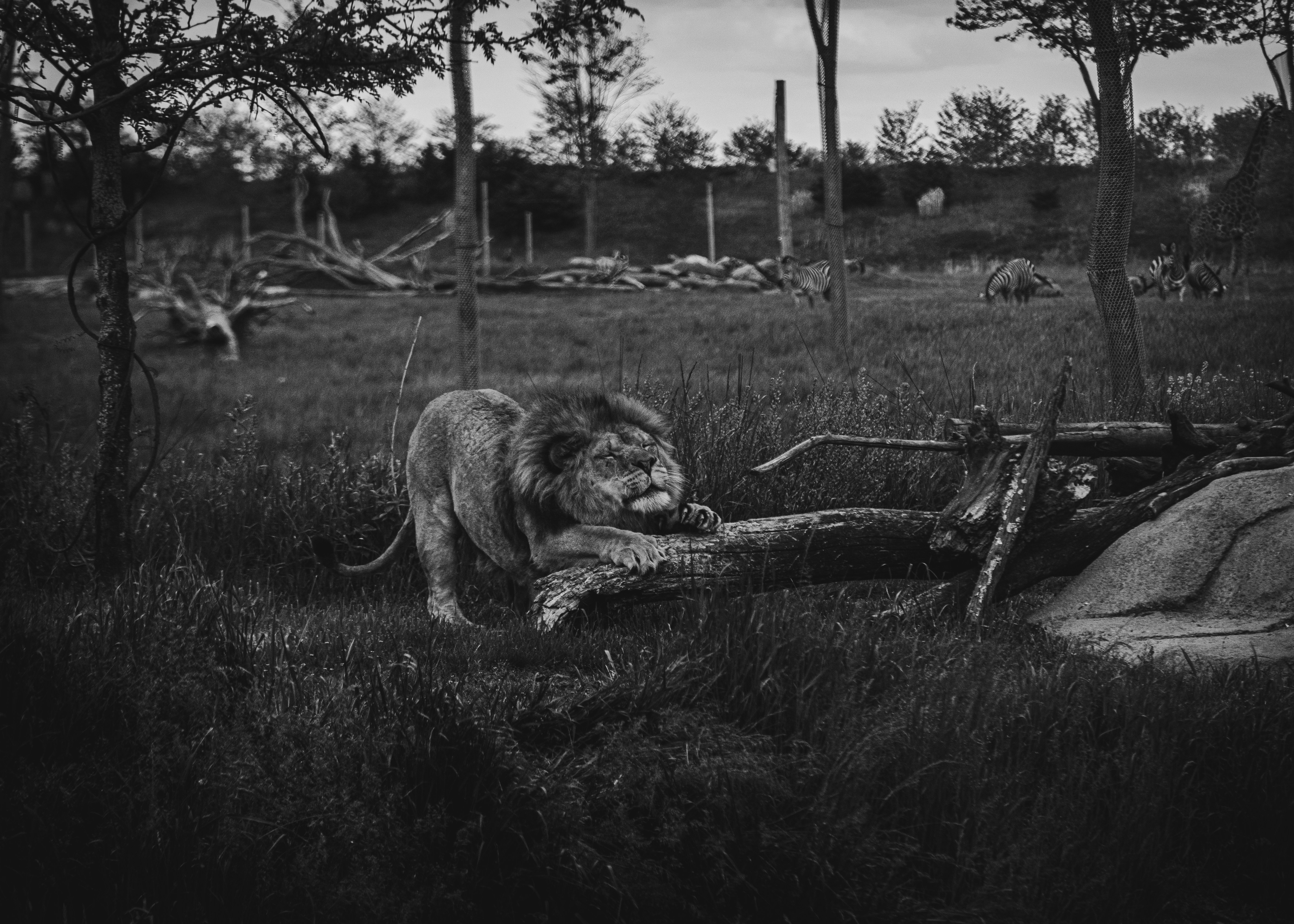 Photo by Matthew Herman with Sony Alpha 6600