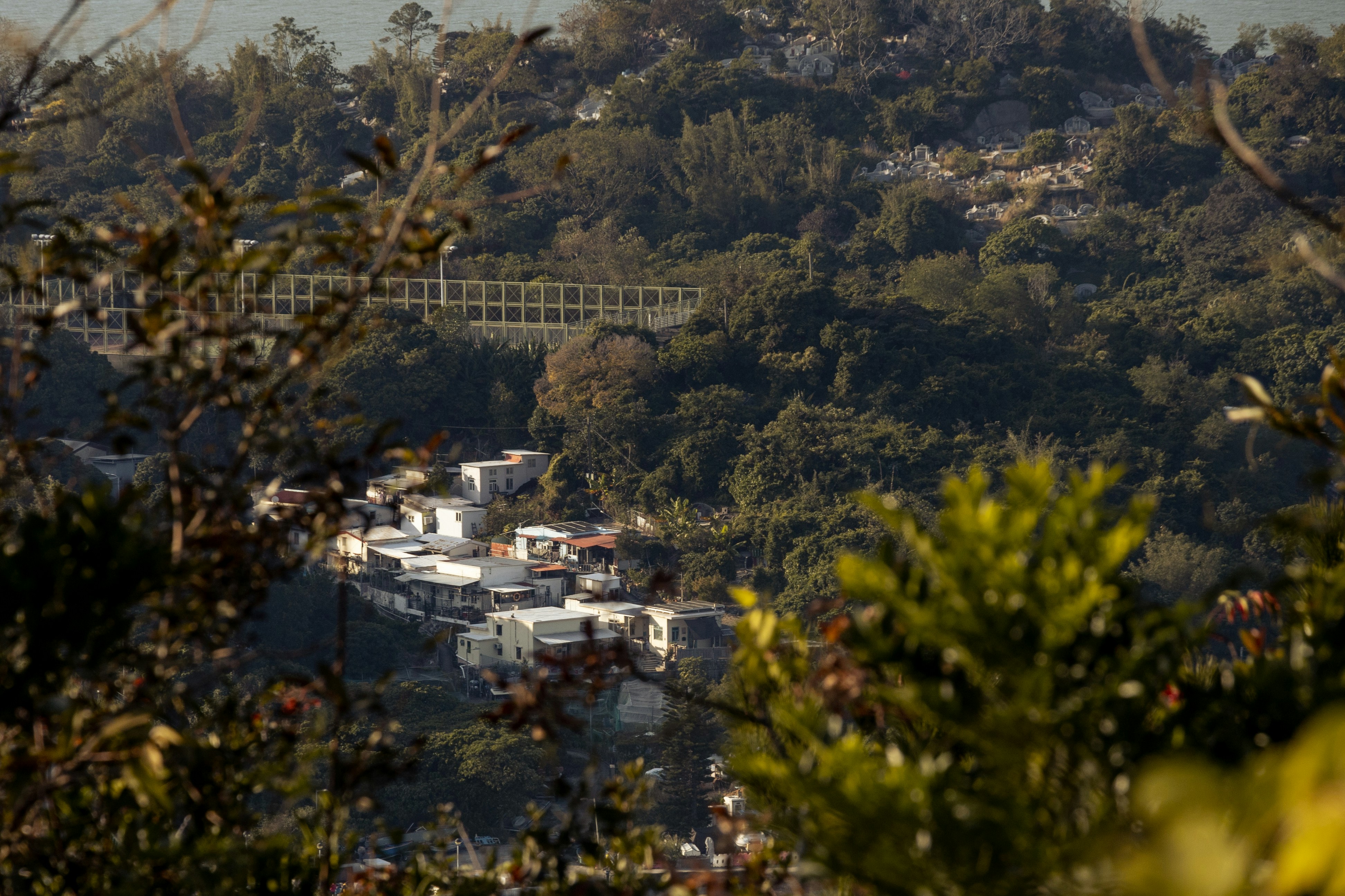 Hidden Habitats: A Tapestry of Nature and Community