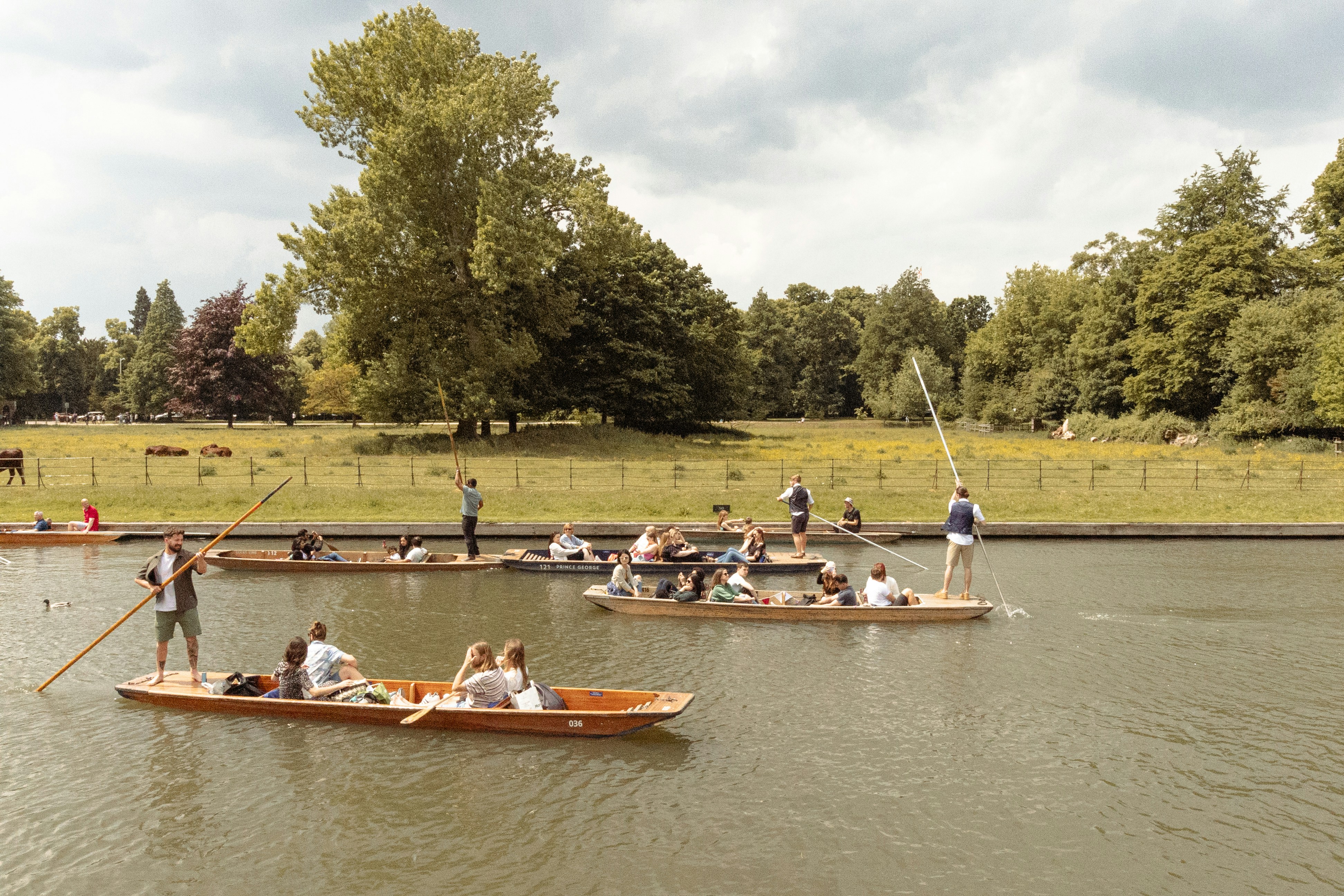 People punting on a river in wooden boats.