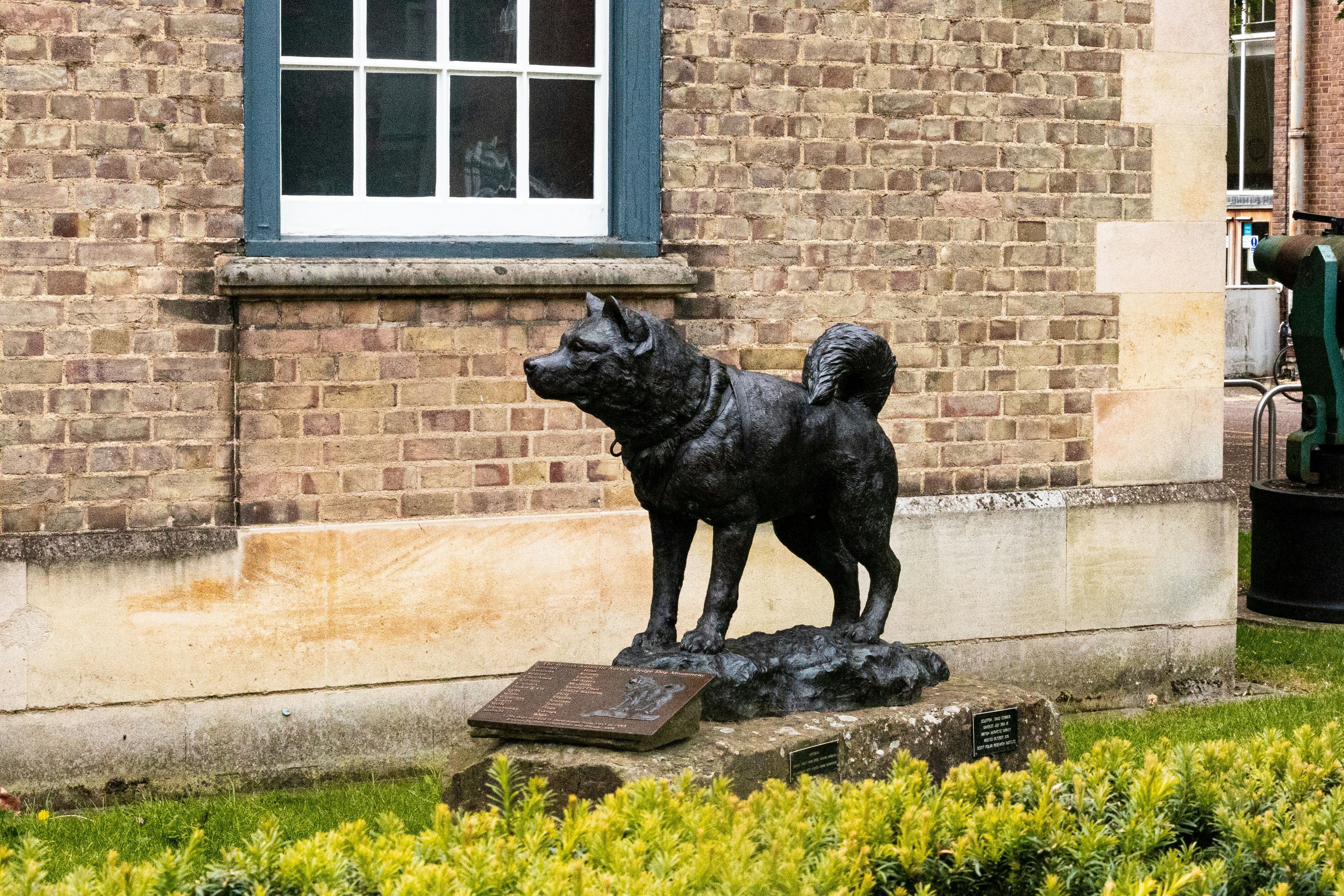 Guardian in Black: A Dog Statue by the Brick Campus Wall