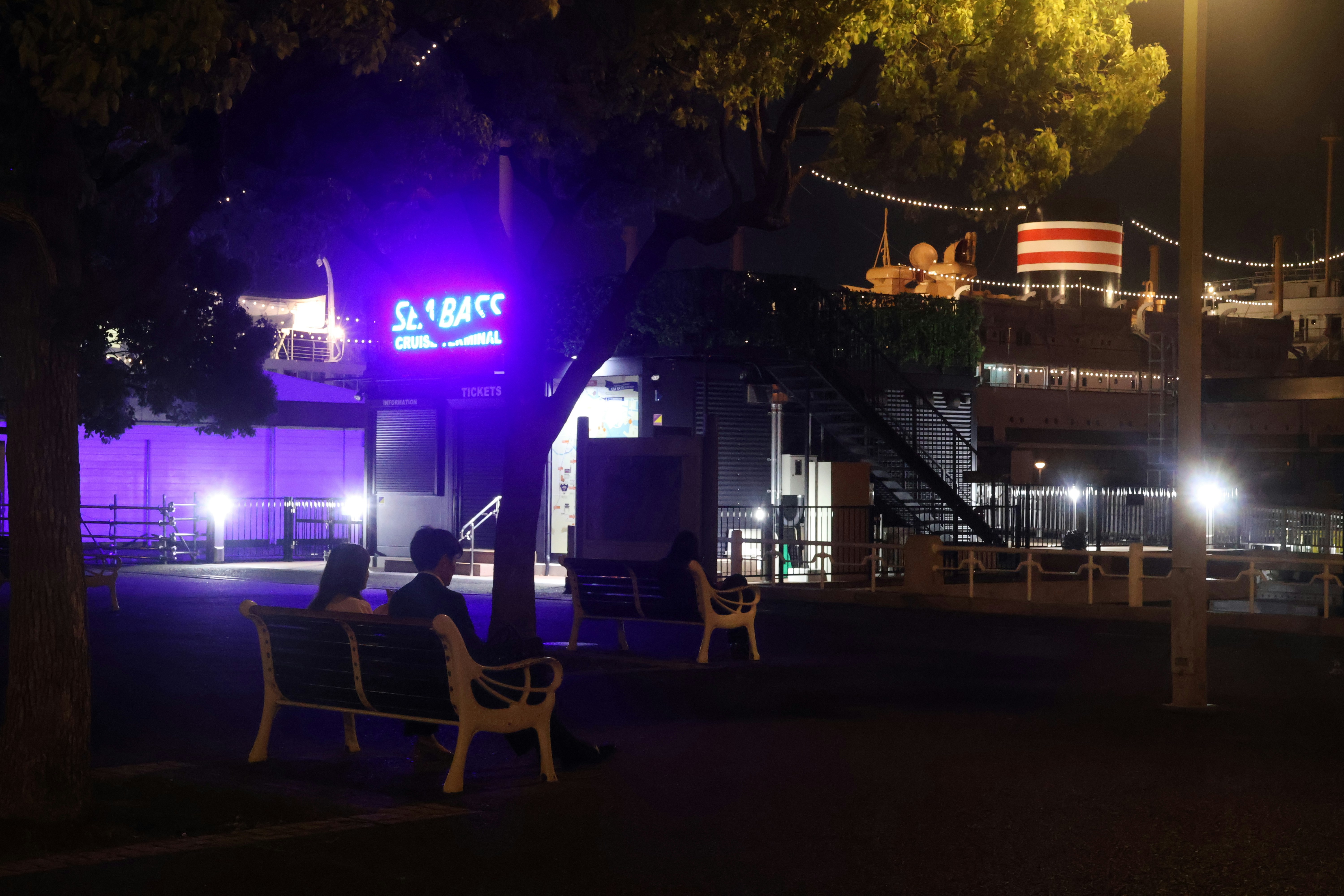 Neon-Glow Night: Quiet Park Benches Under Streetlight and Sign