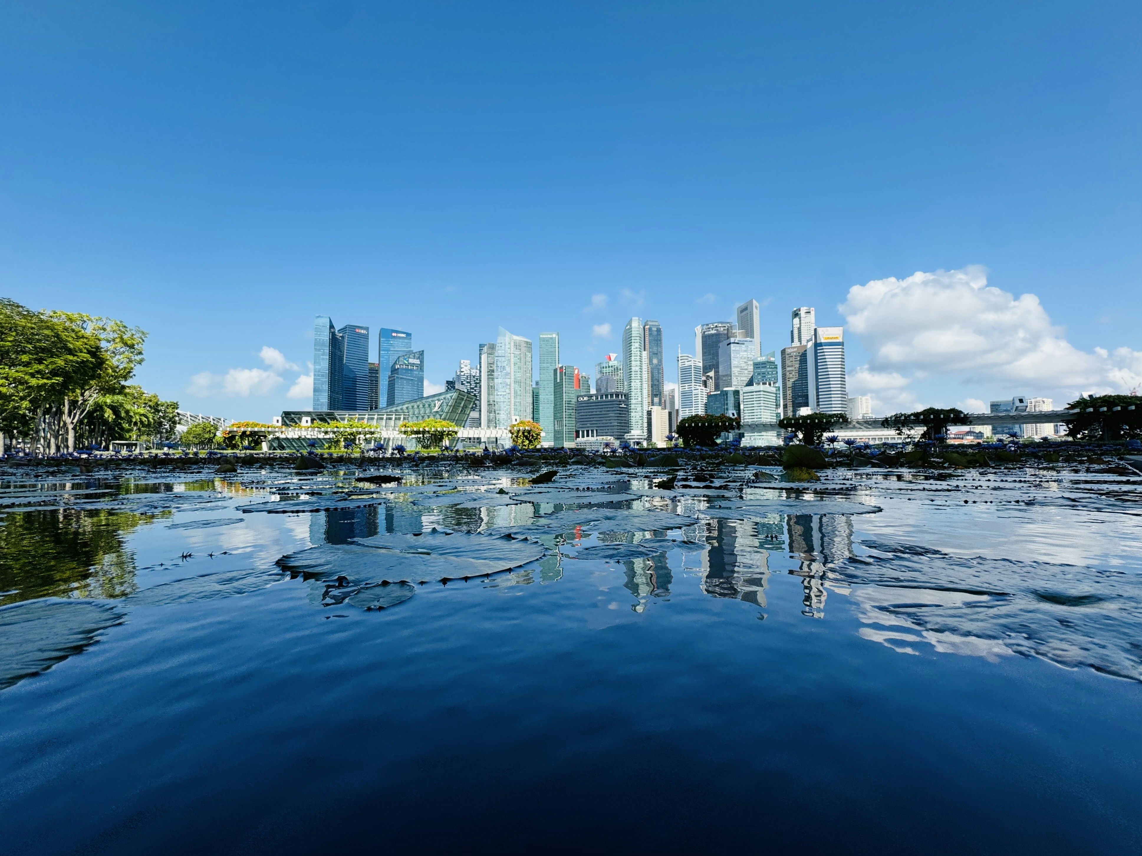 Urban Mirror: City Skyline Rising from Calm Waters