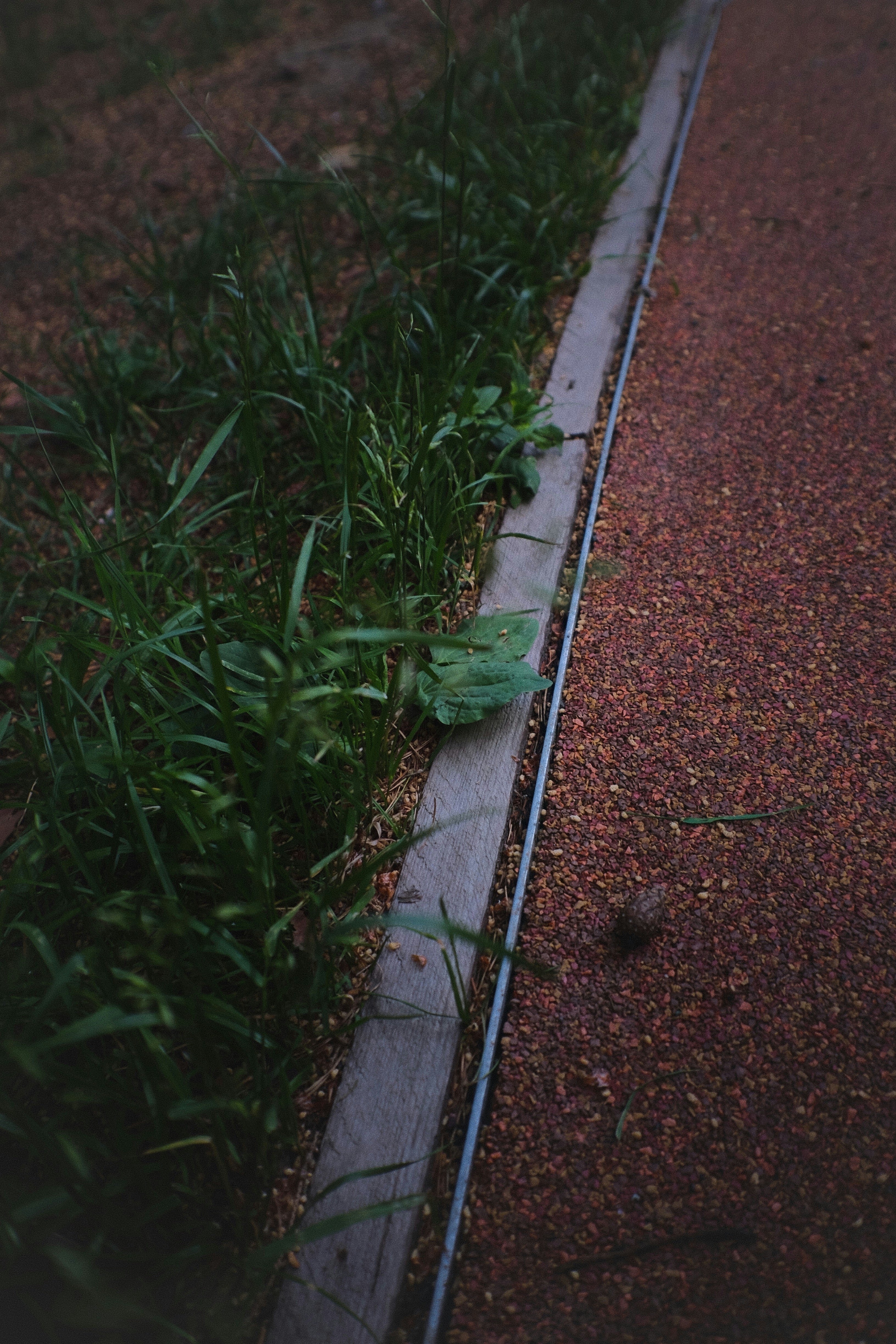 Grass and gravel border a path.