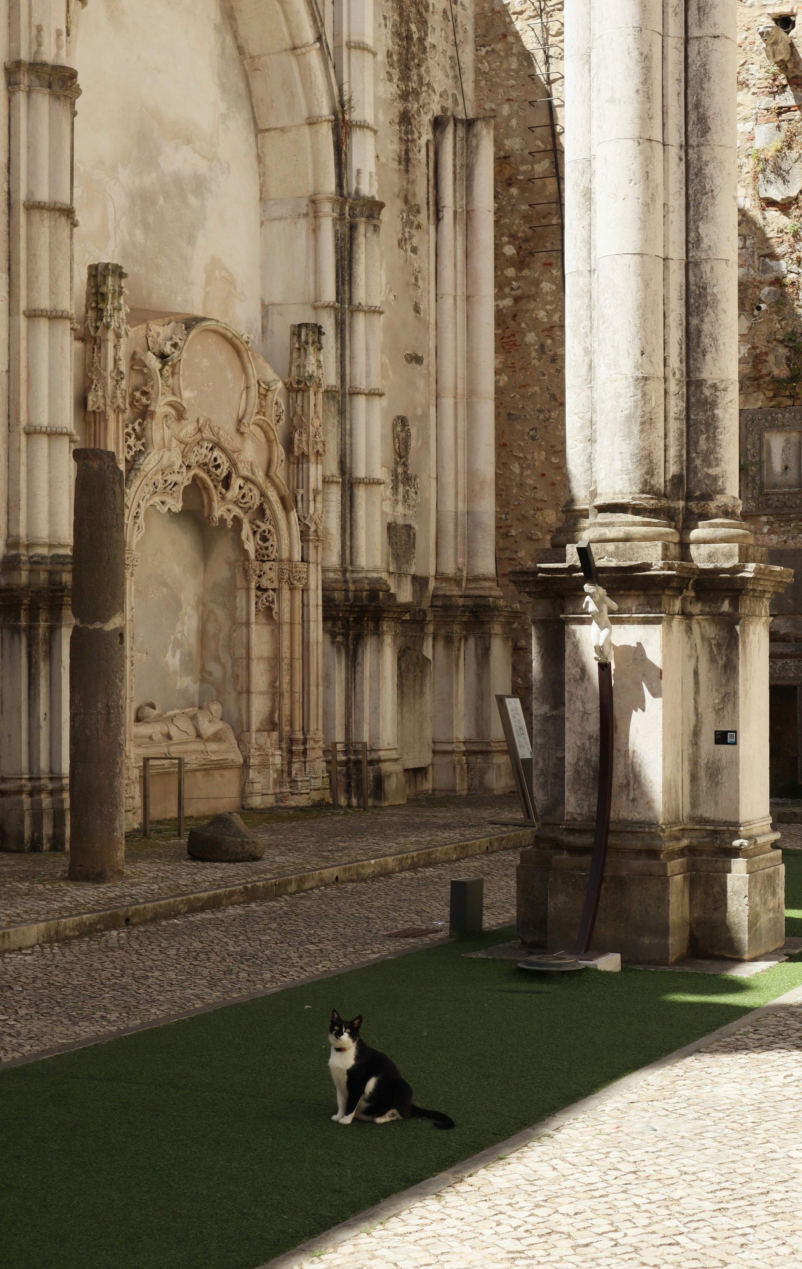 Cat Beneath the Ruin: Quiet Cat at the Cloister