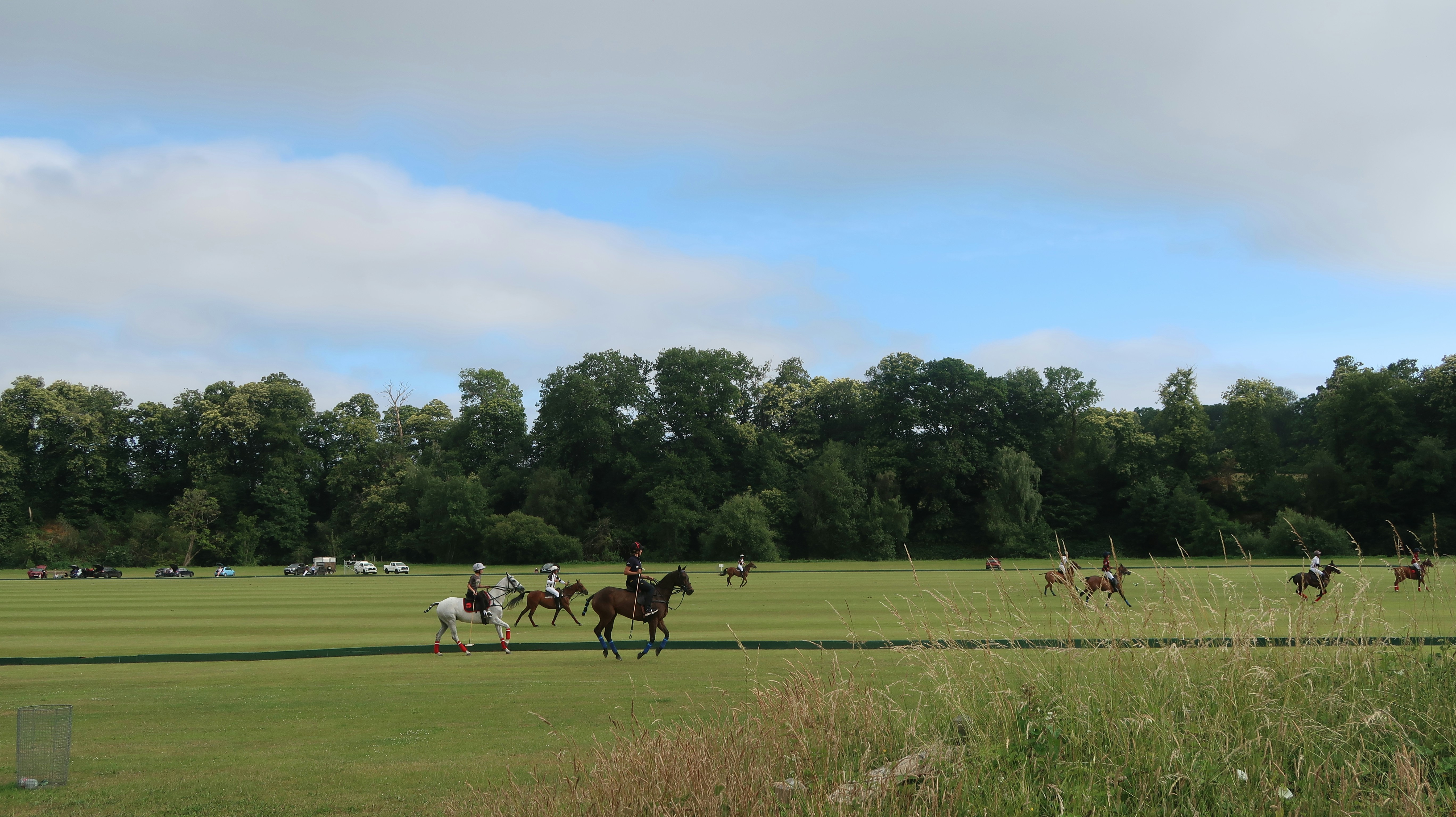 Horses in Motion Across a Sunlit Meadow Under a Quiet Sky