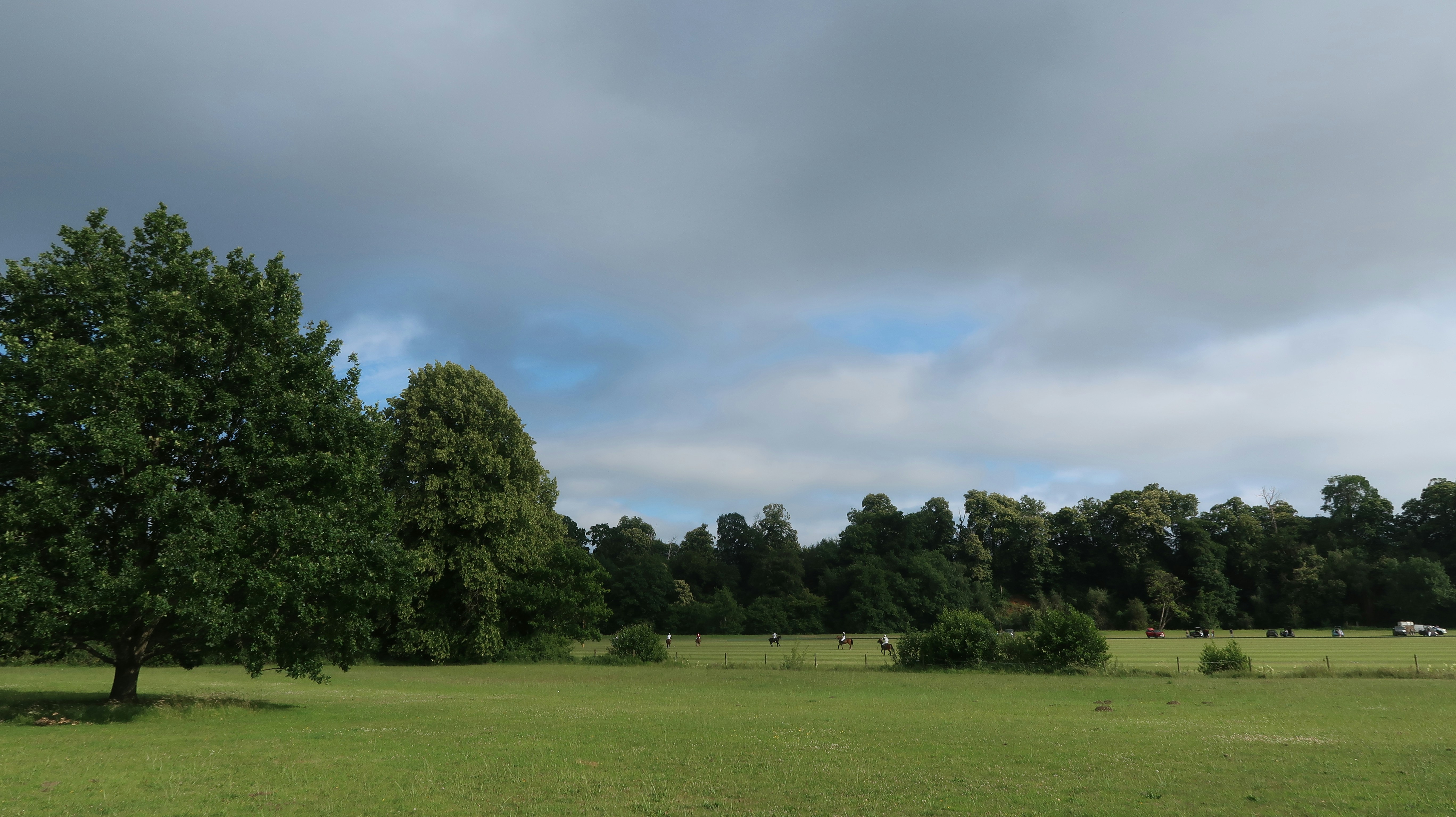 Grassy field with trees and a cloudy sky.