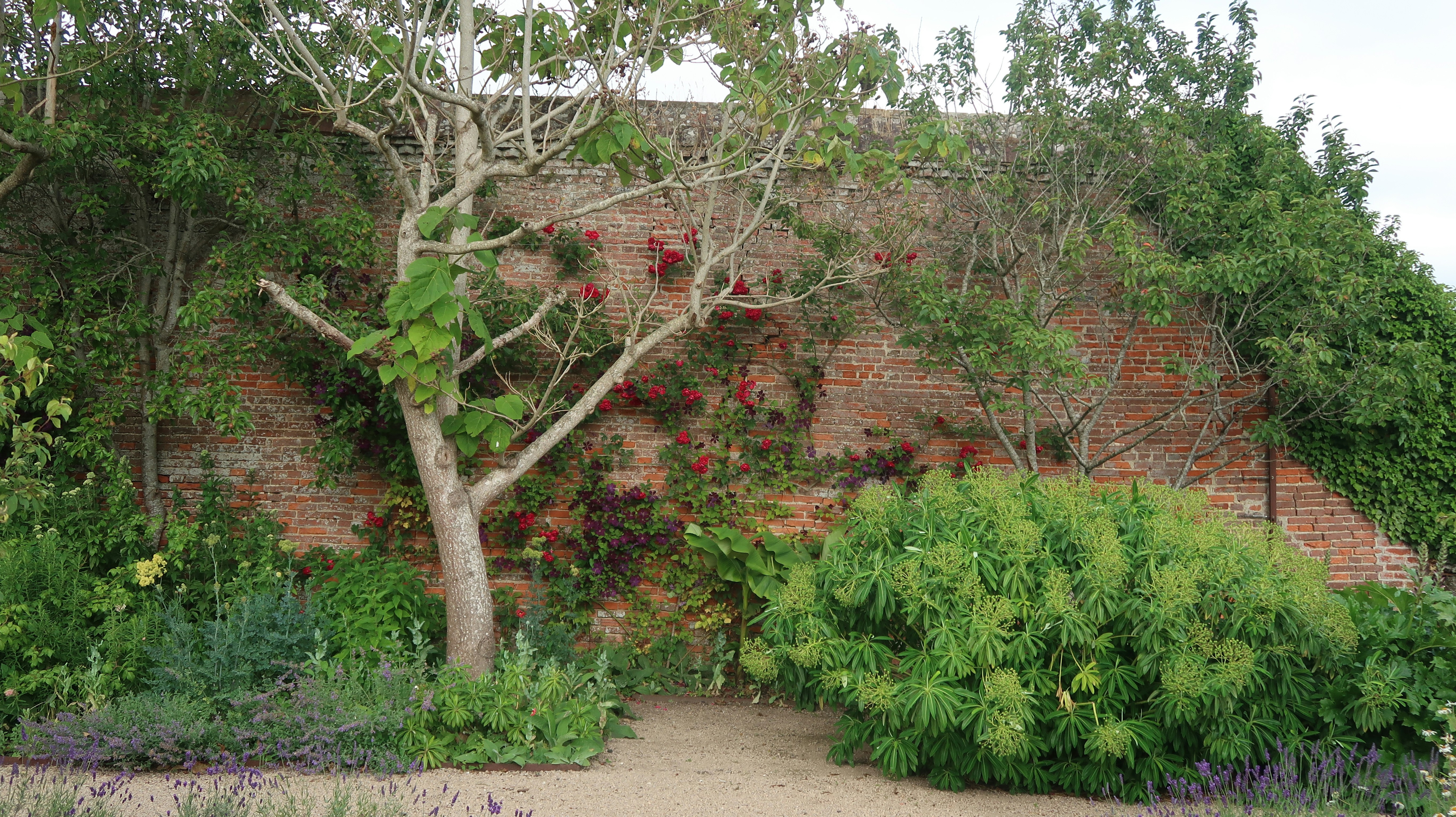 Green Canopy by the Brick Wall: A Quiet Garden Border Portrait