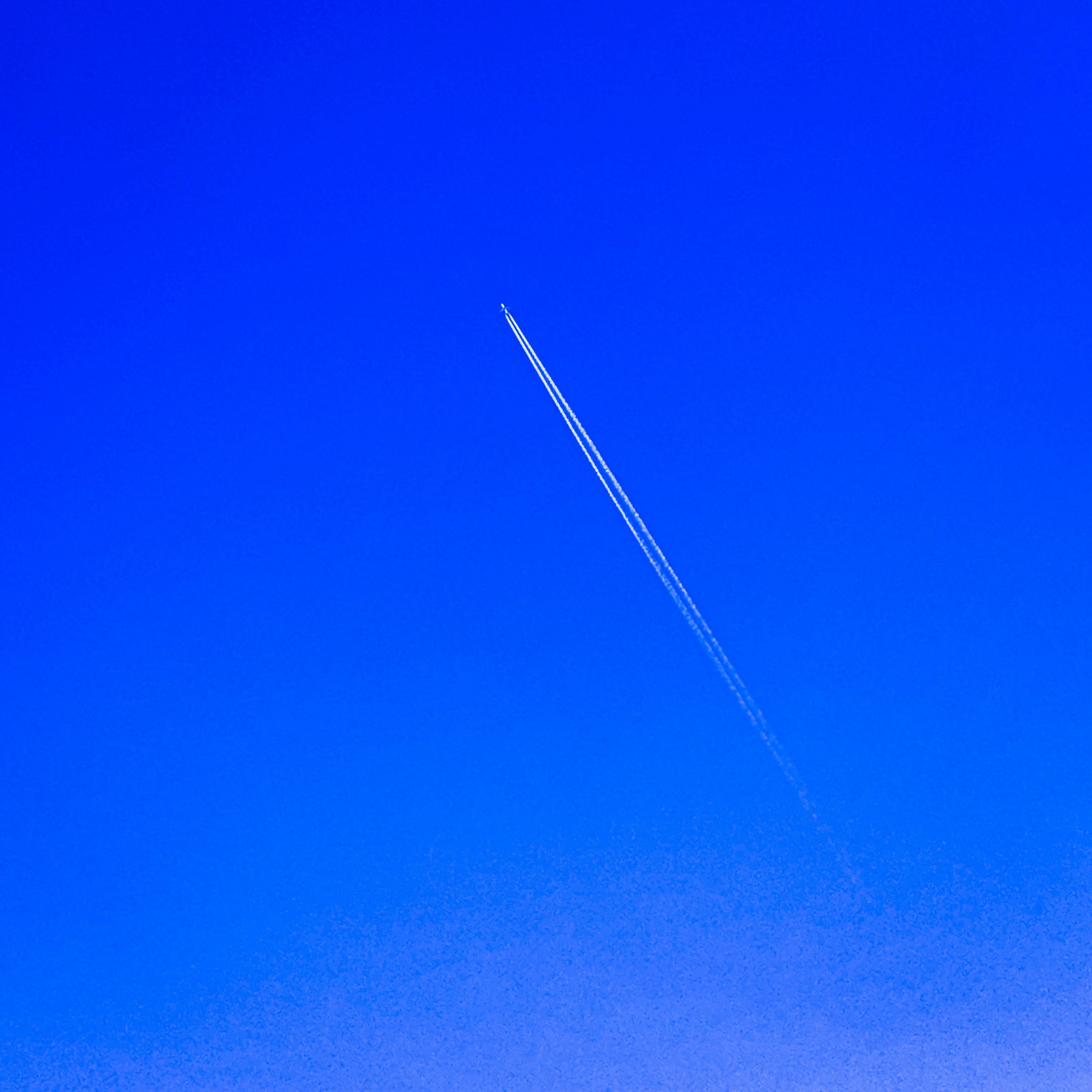 Skyward Journey: The Silent Path of Flight