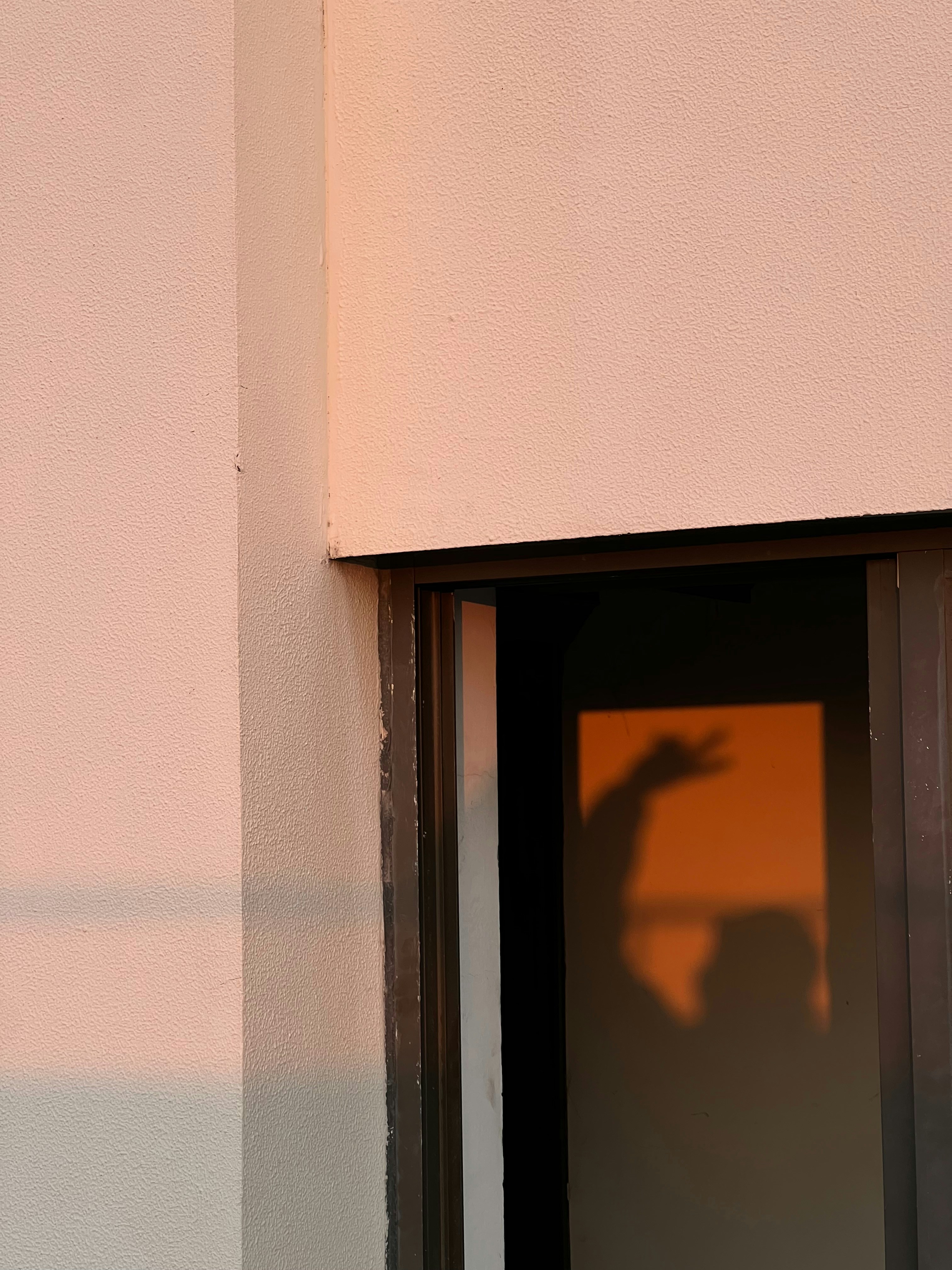 Whispers of Twilight: A Shadow's Gesture