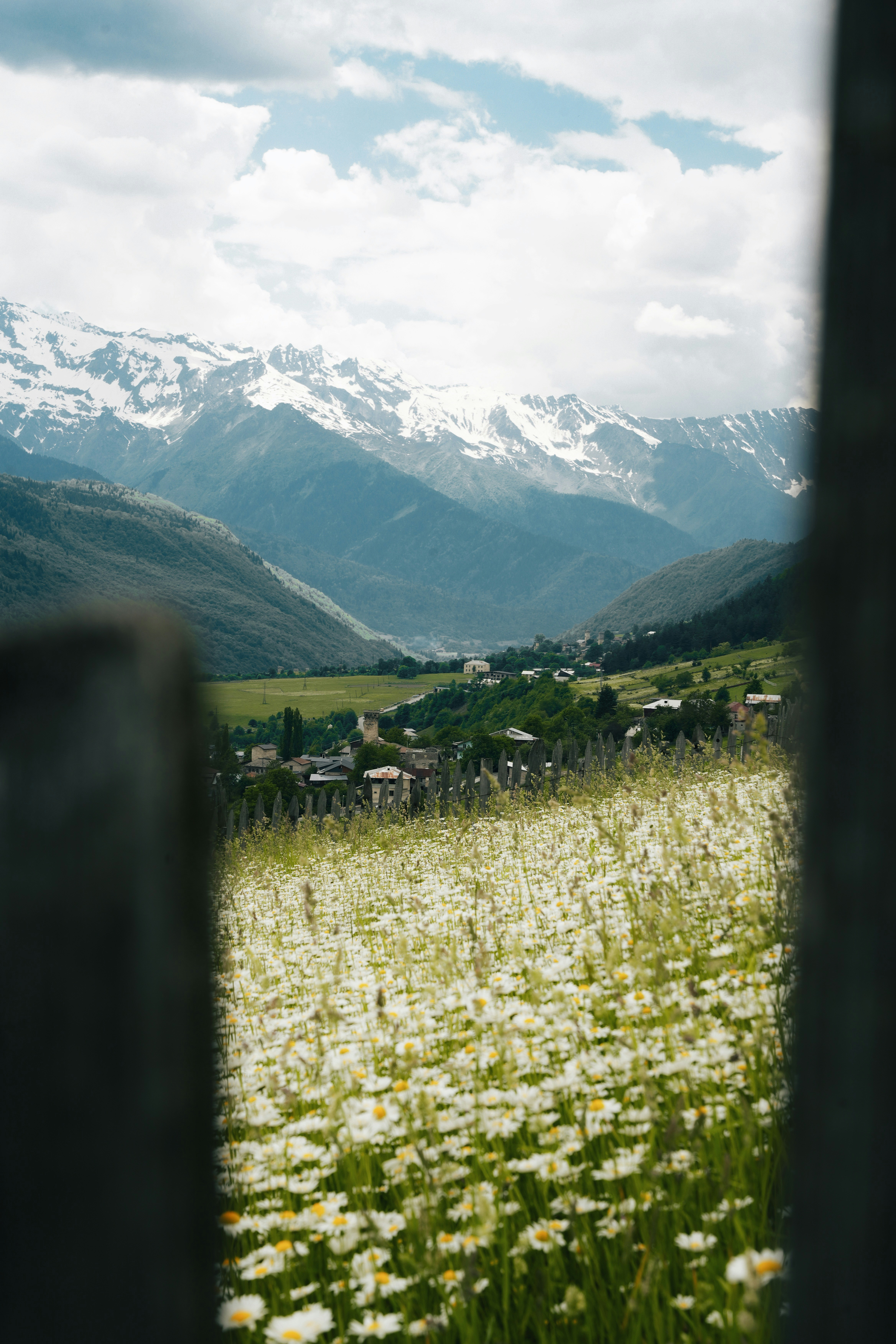 Vibrant wildflowers sway in a lush meadow, framed by towering snow-capped mountains under a dynamic sky.