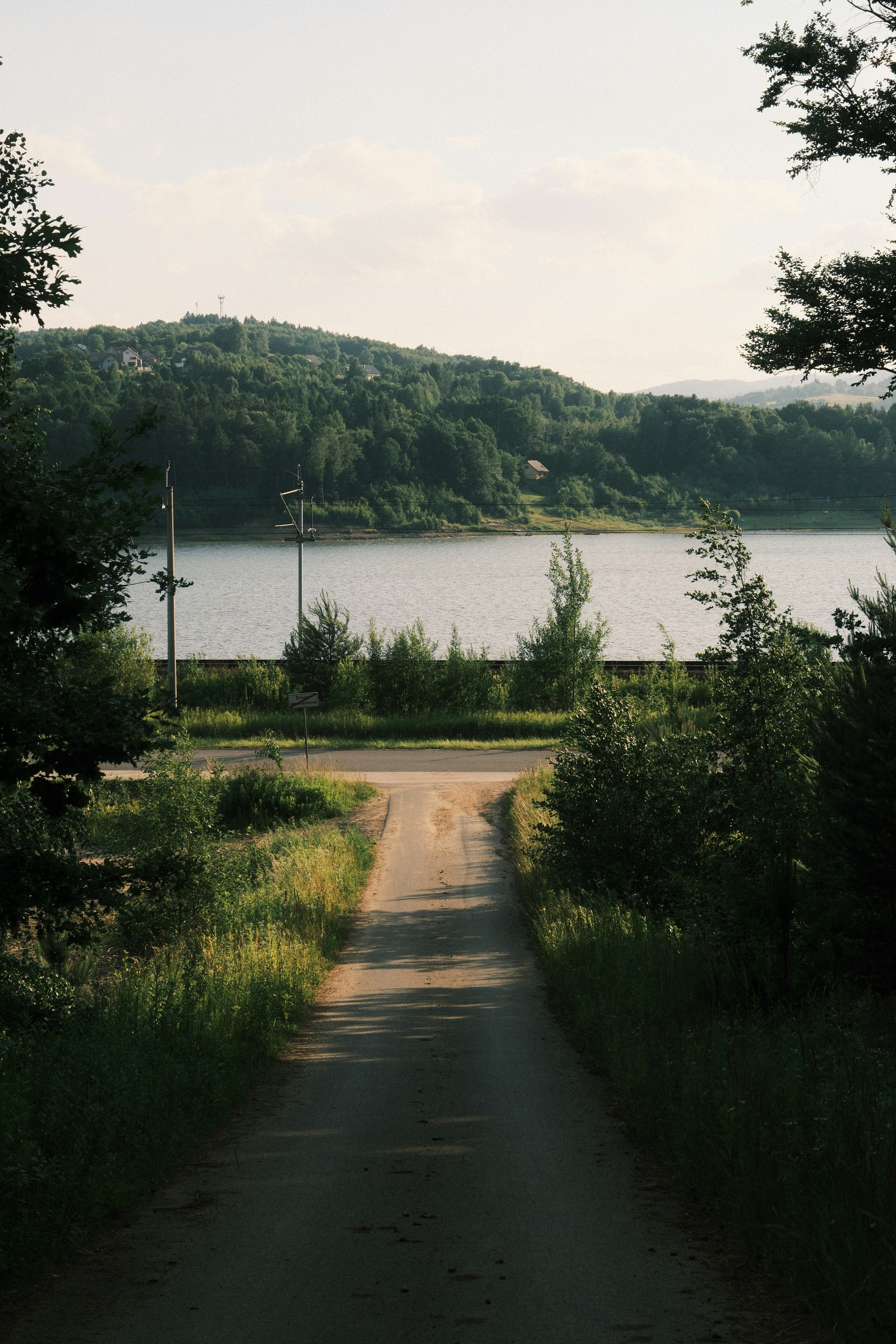 A dirt road leads to a tranquil lake.