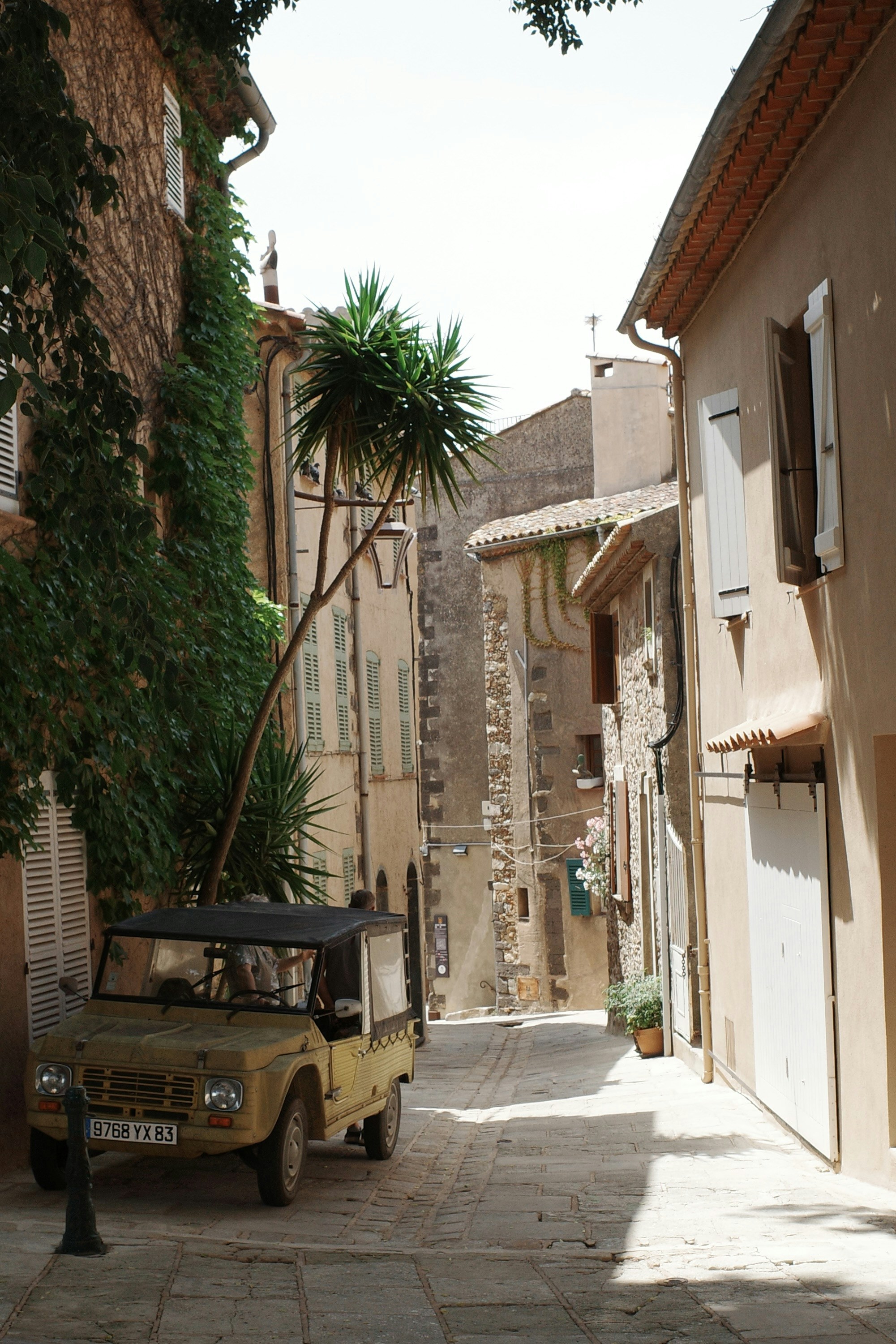Nostalgic Pathways of a Sunlit Village