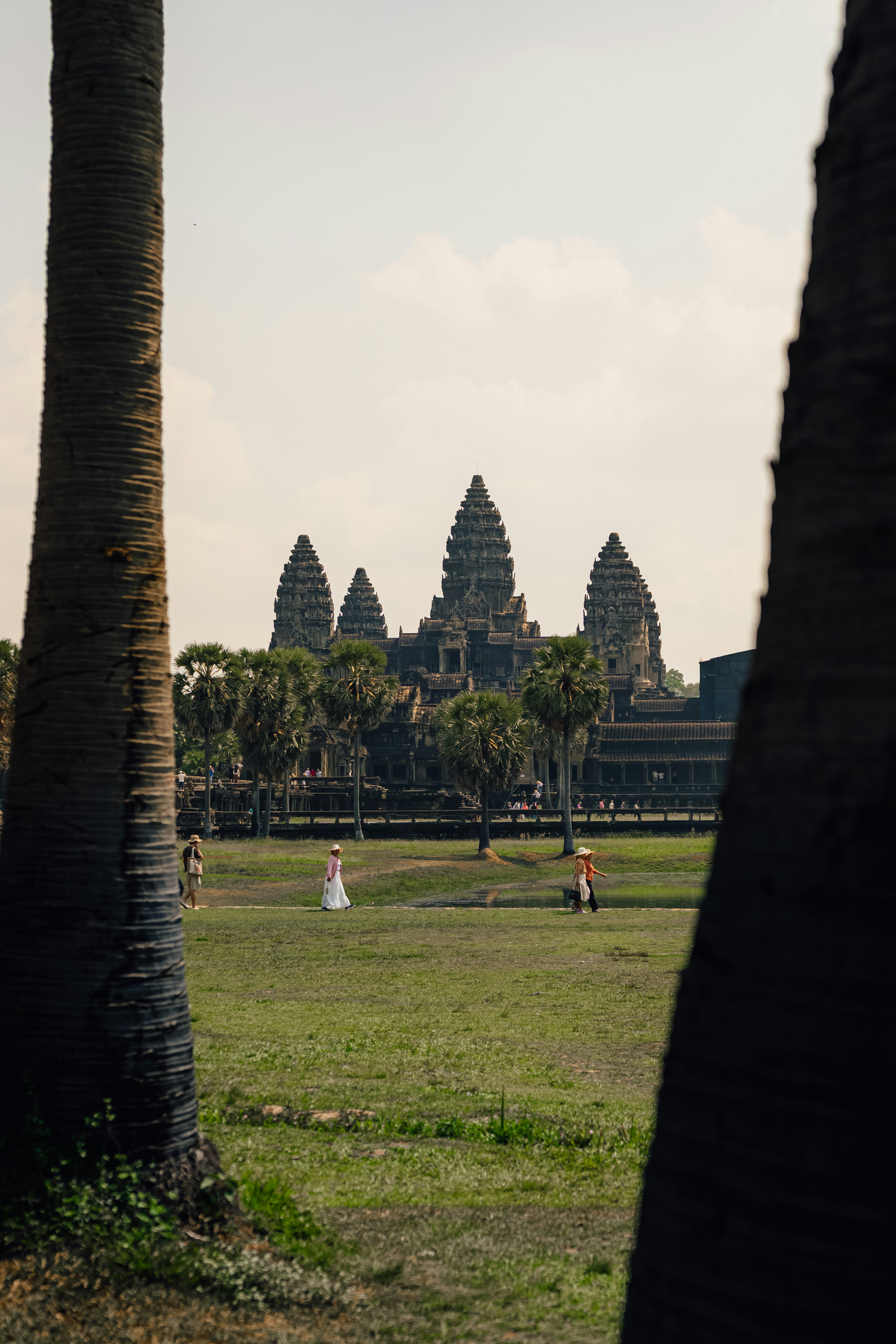 Angkor wat temple is viewed through trees.