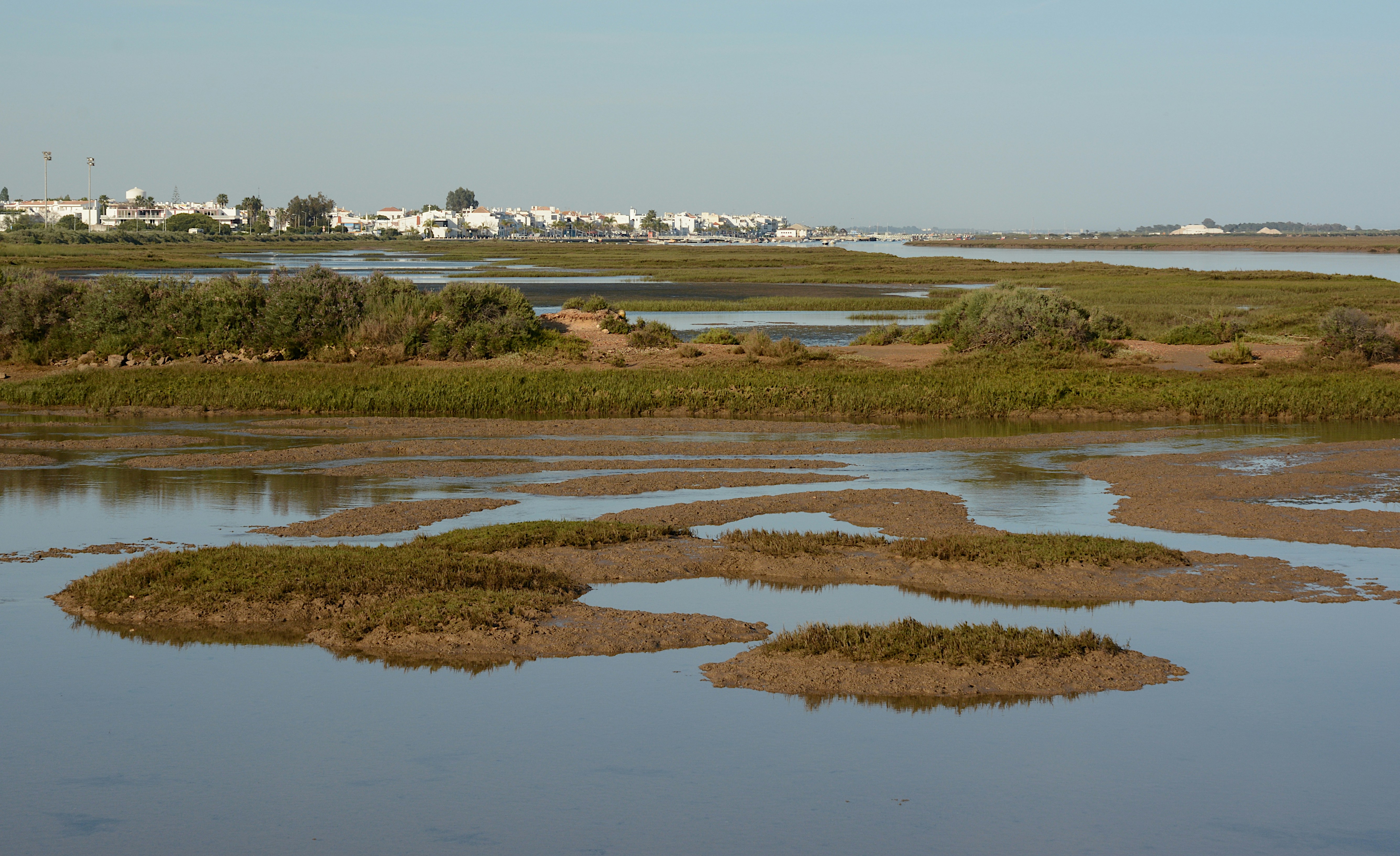 Reflections of Tranquility: A Marshland Serenity