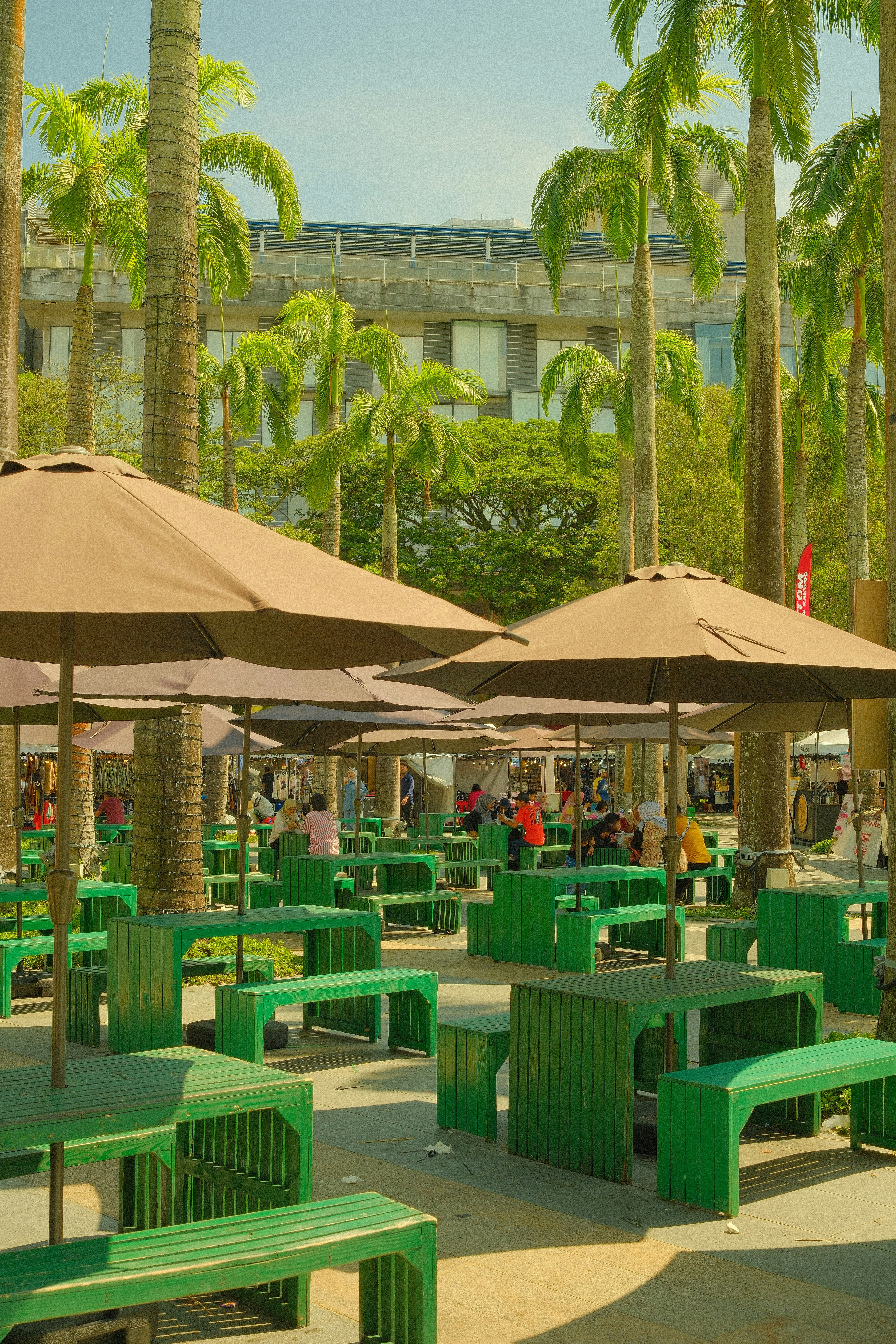 Shuffle of Shade: Green Benches Under Palm Canopy