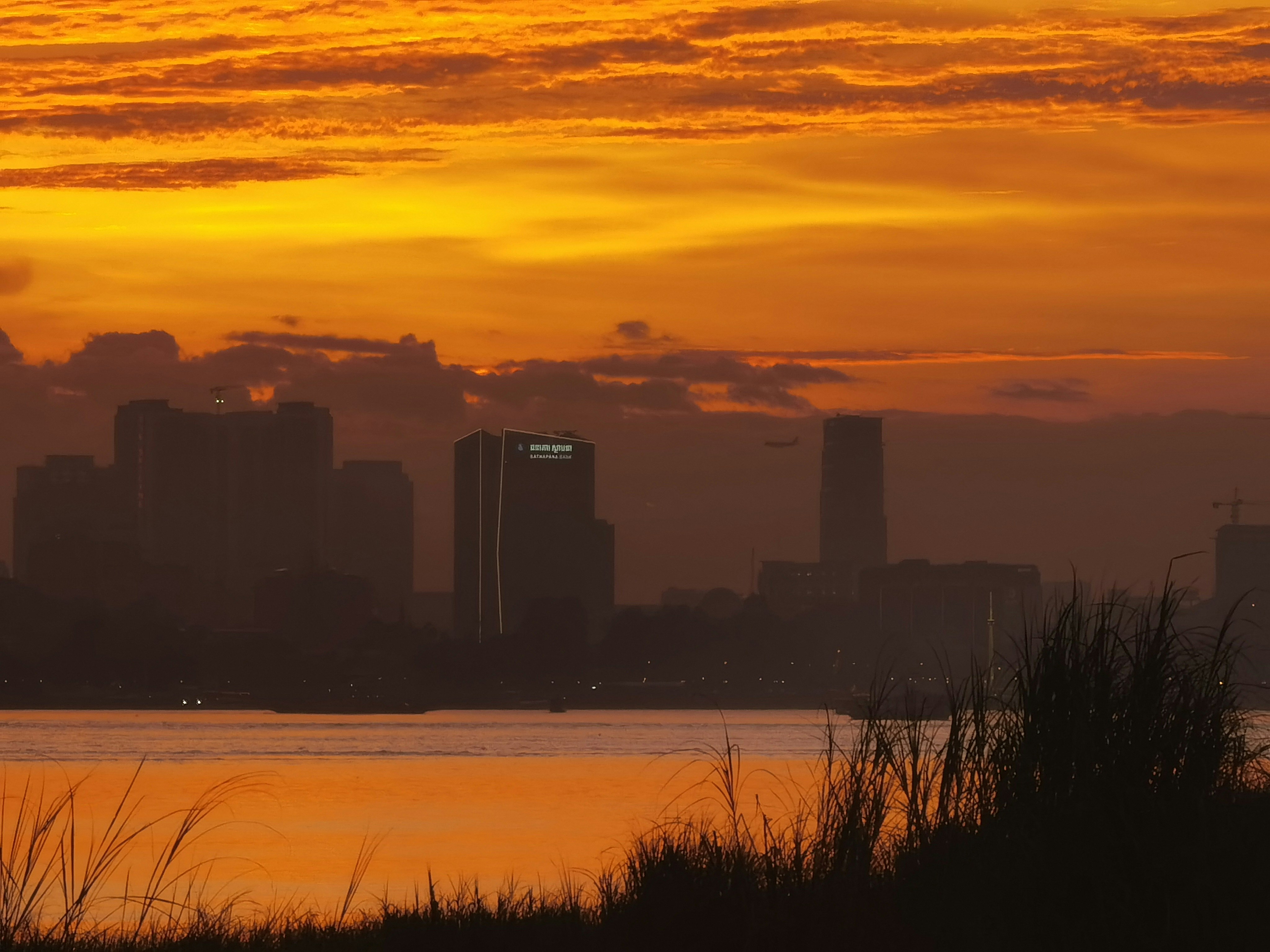 Silhouetted city skyline against a vibrant orange sunset, reflecting on calm waters with tall grasses in the foreground.