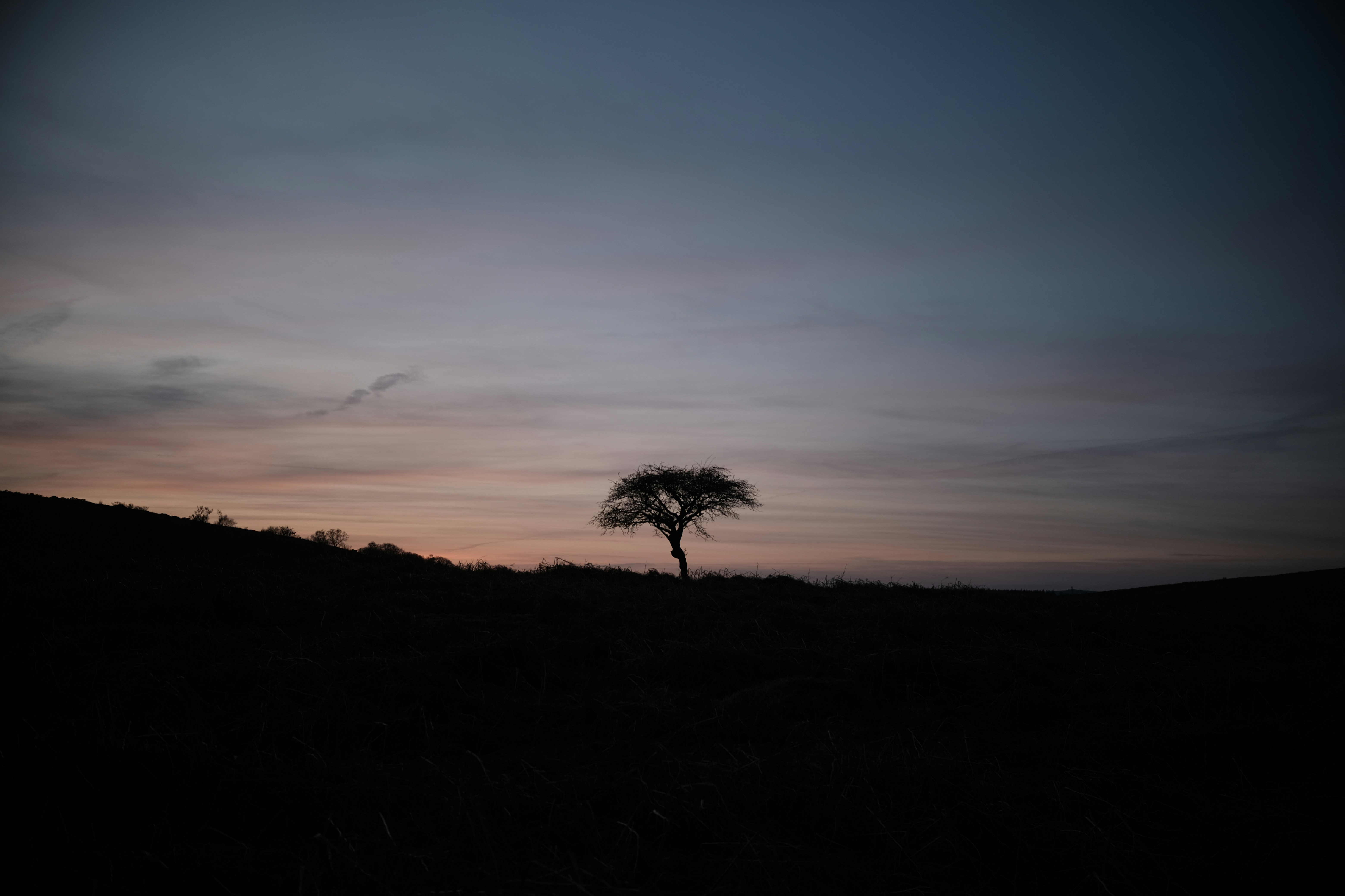 Solitary Sentinel at Dusk