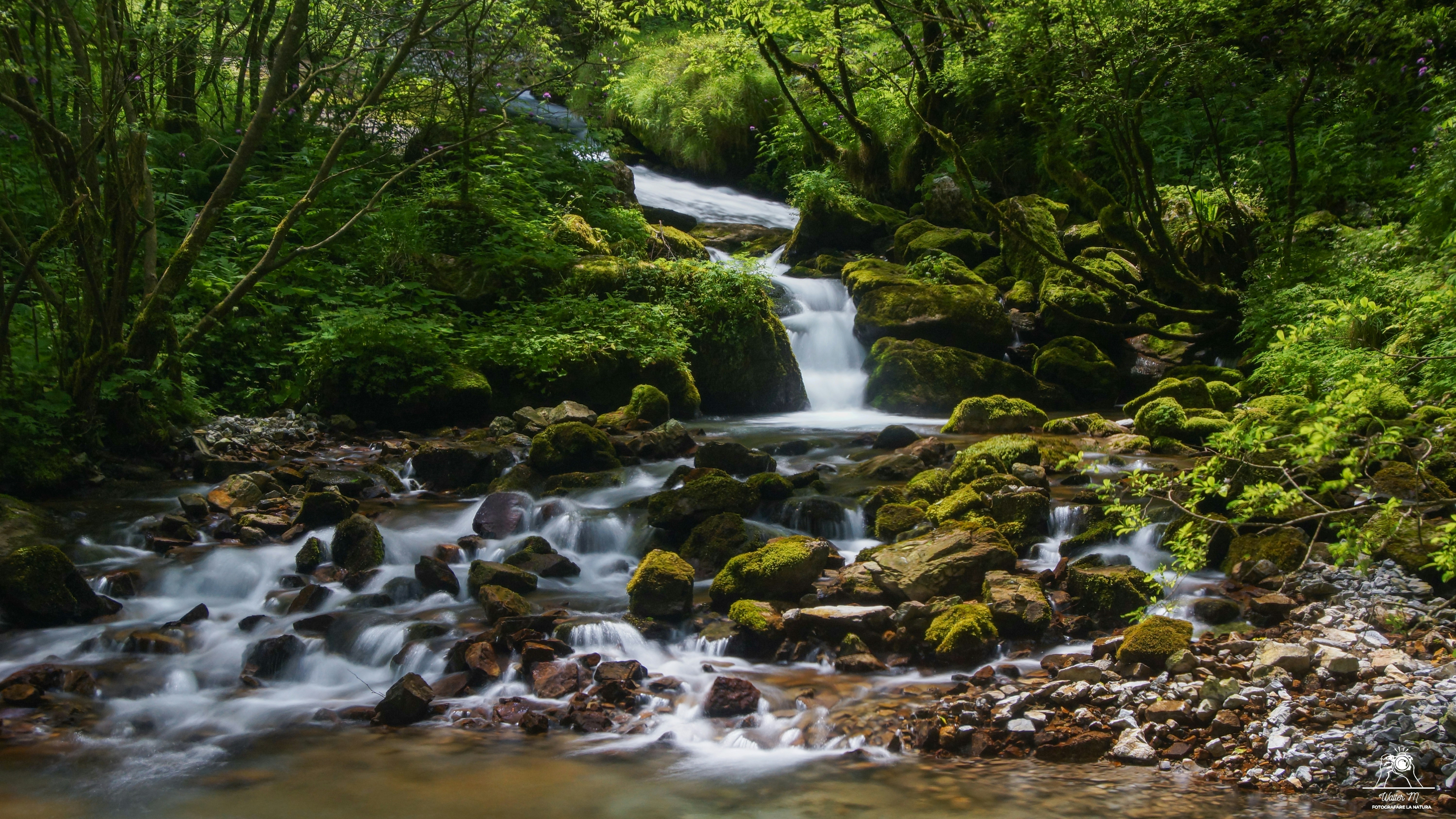 A peaceful waterfall flows through lush greenery. photo – Free Trekking ...