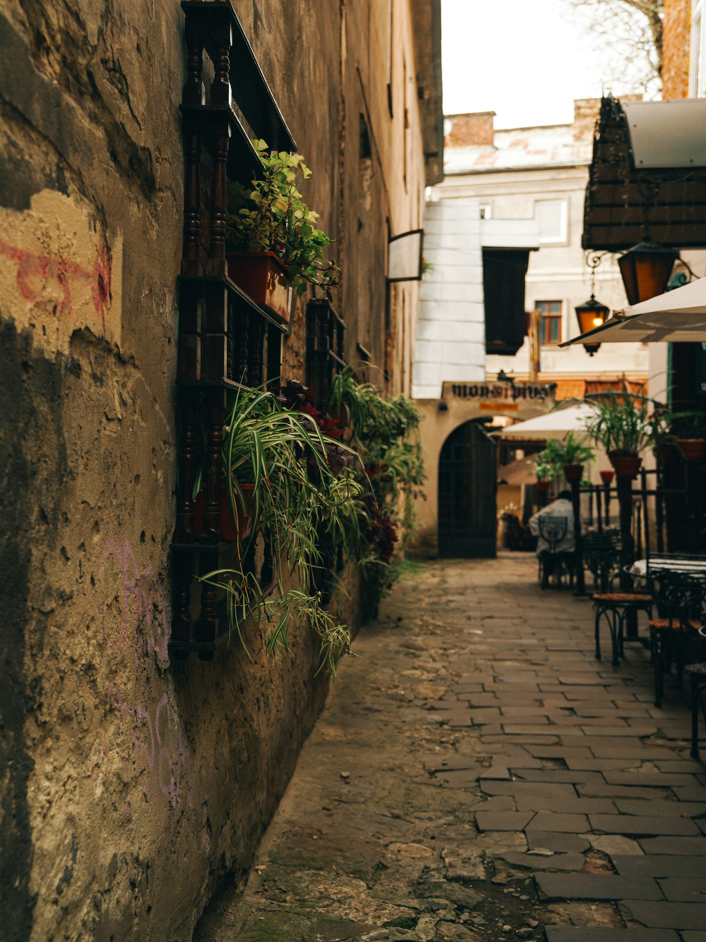 A picturesque alleyway is lined with plants.