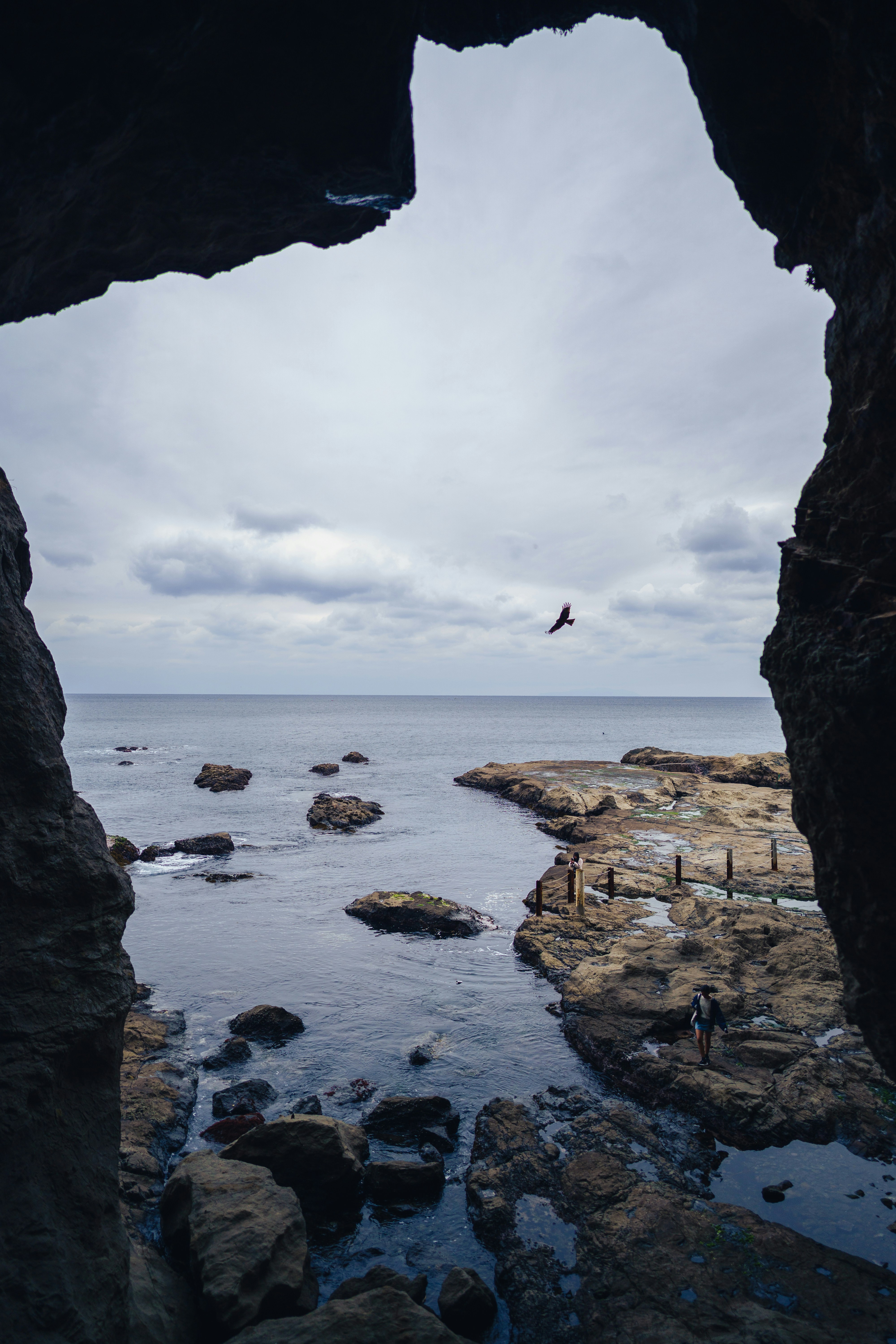 A bird flies over the rocky coast.