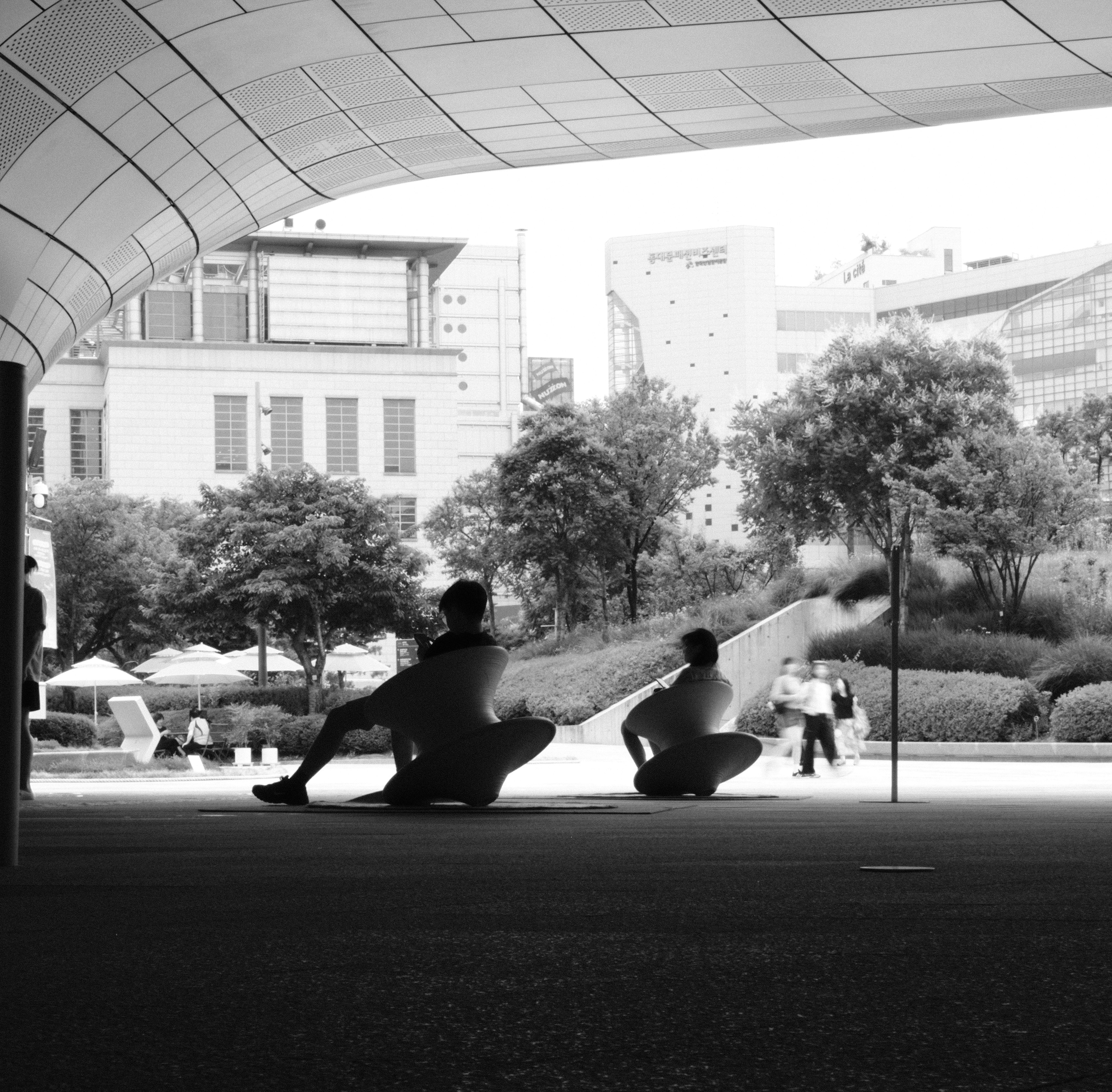 Urban Serenity: A Moment of Reflection