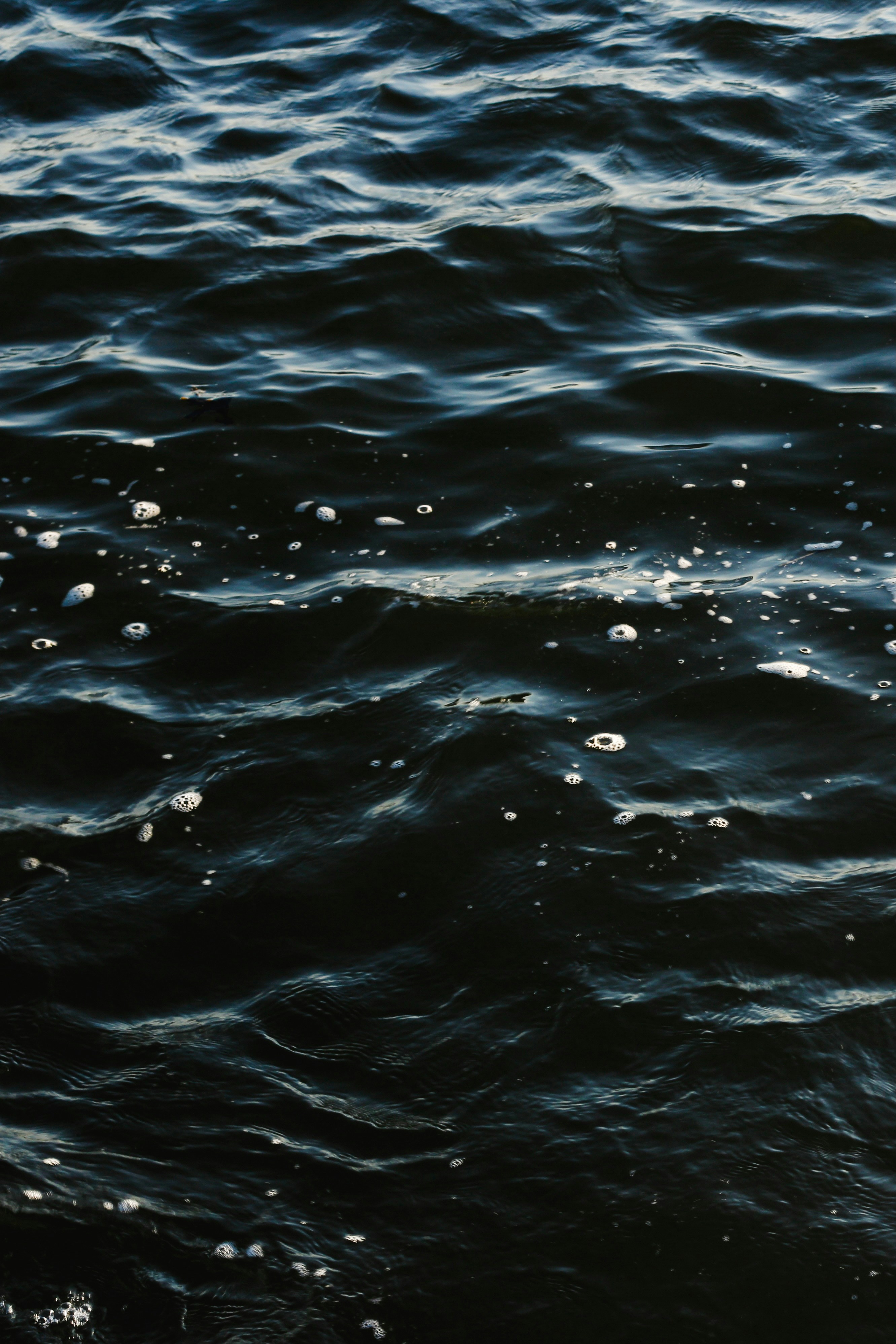The wanderfull waves of Staten Island, if you find this place, enjoy it. | Dark water with small waves and bubbles.