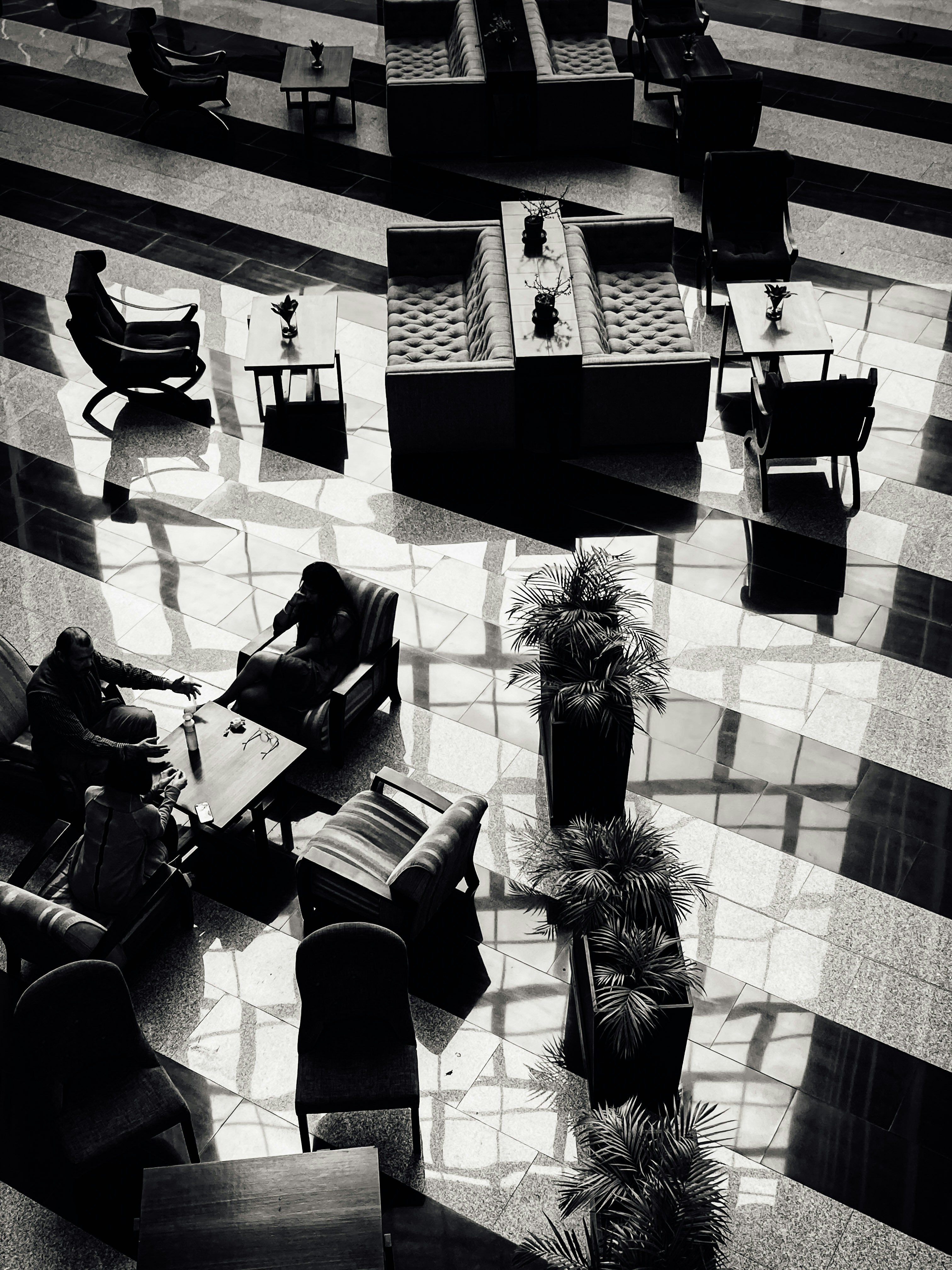 Urban Serenity: A Moment of Connection