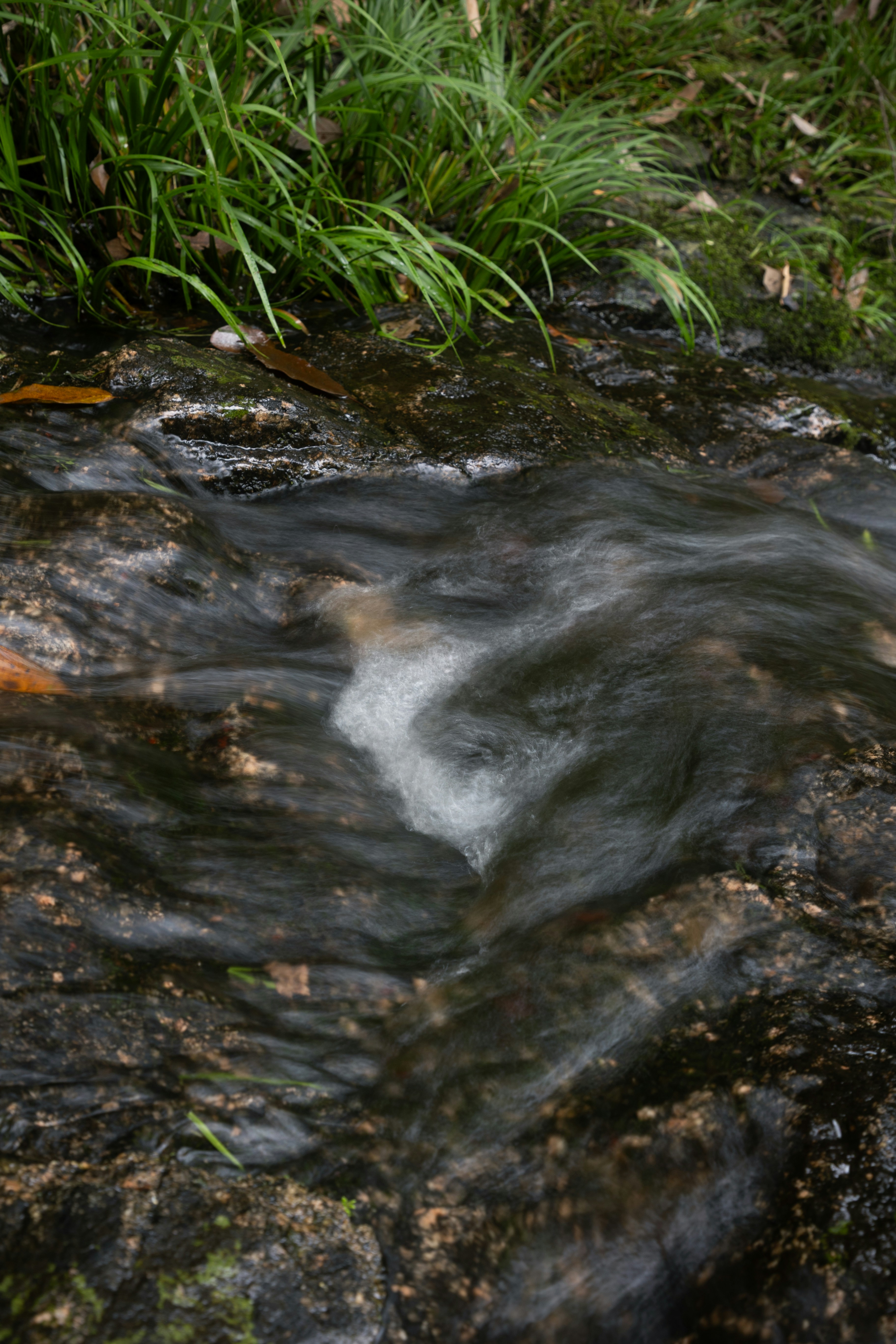 Water flows down a rocky, grassy stream.