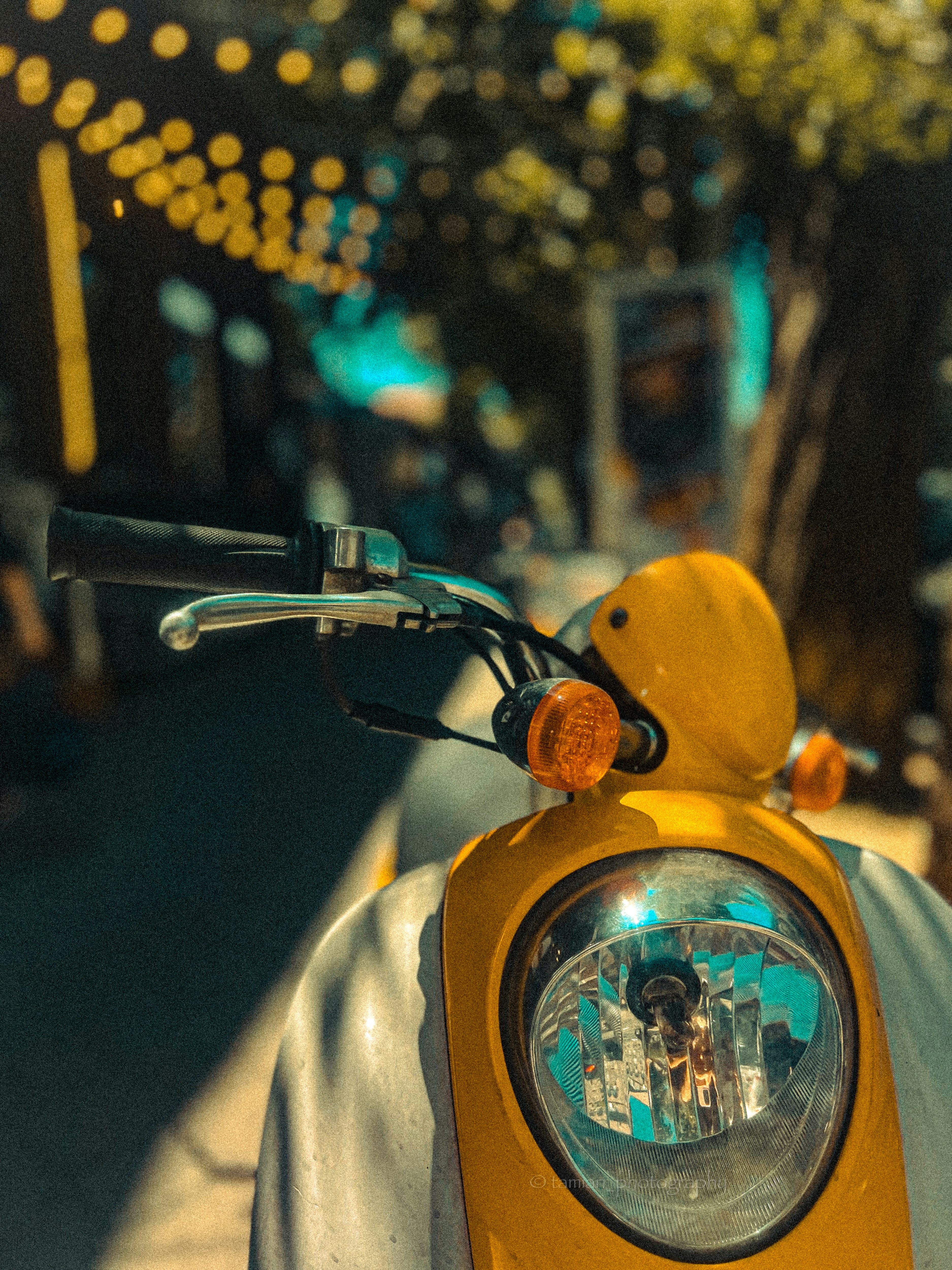 Vibrant Ride: A Glimpse Through the Lens