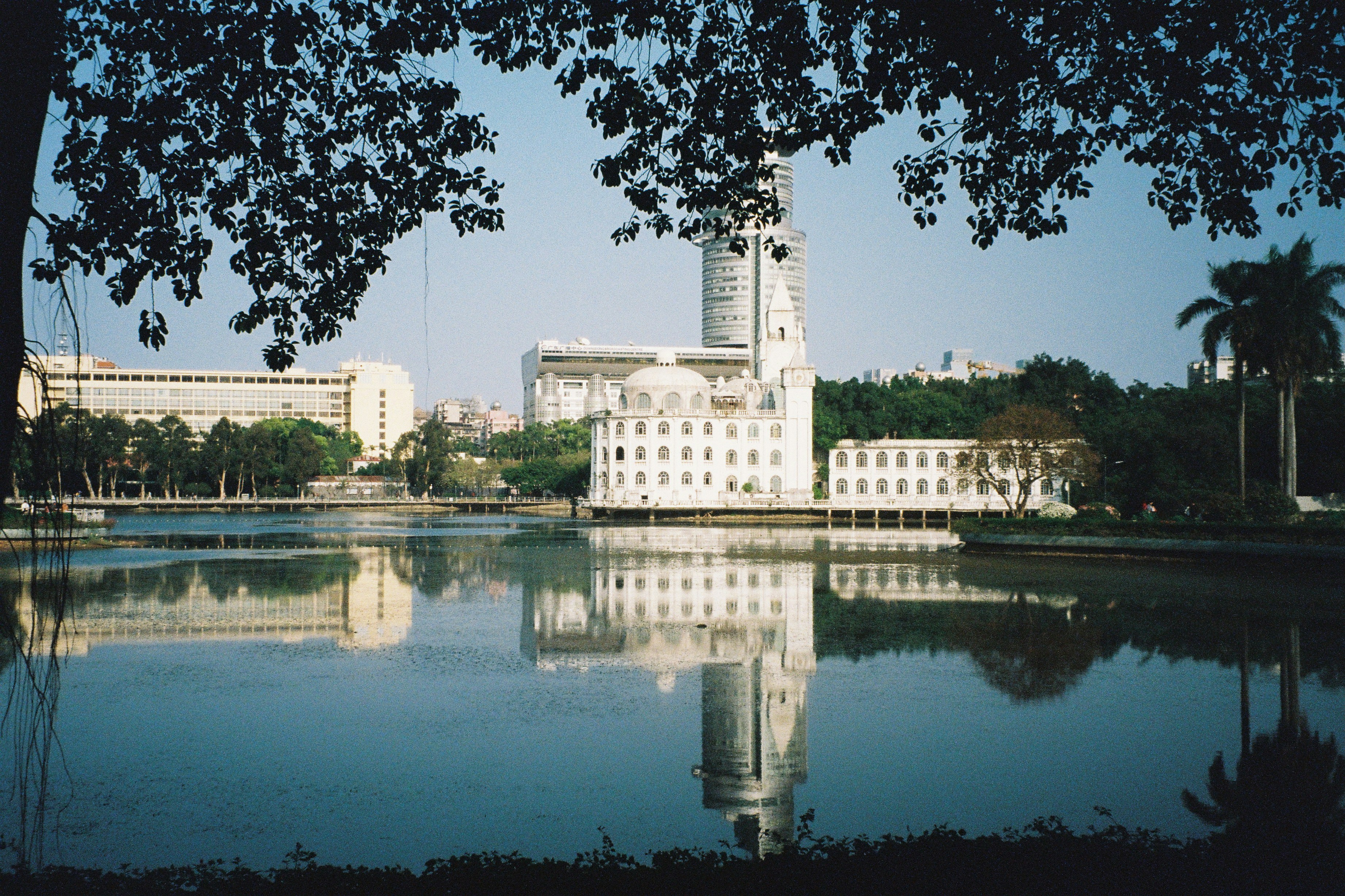 Reflections of Elegance: A Serene Urban Oasis