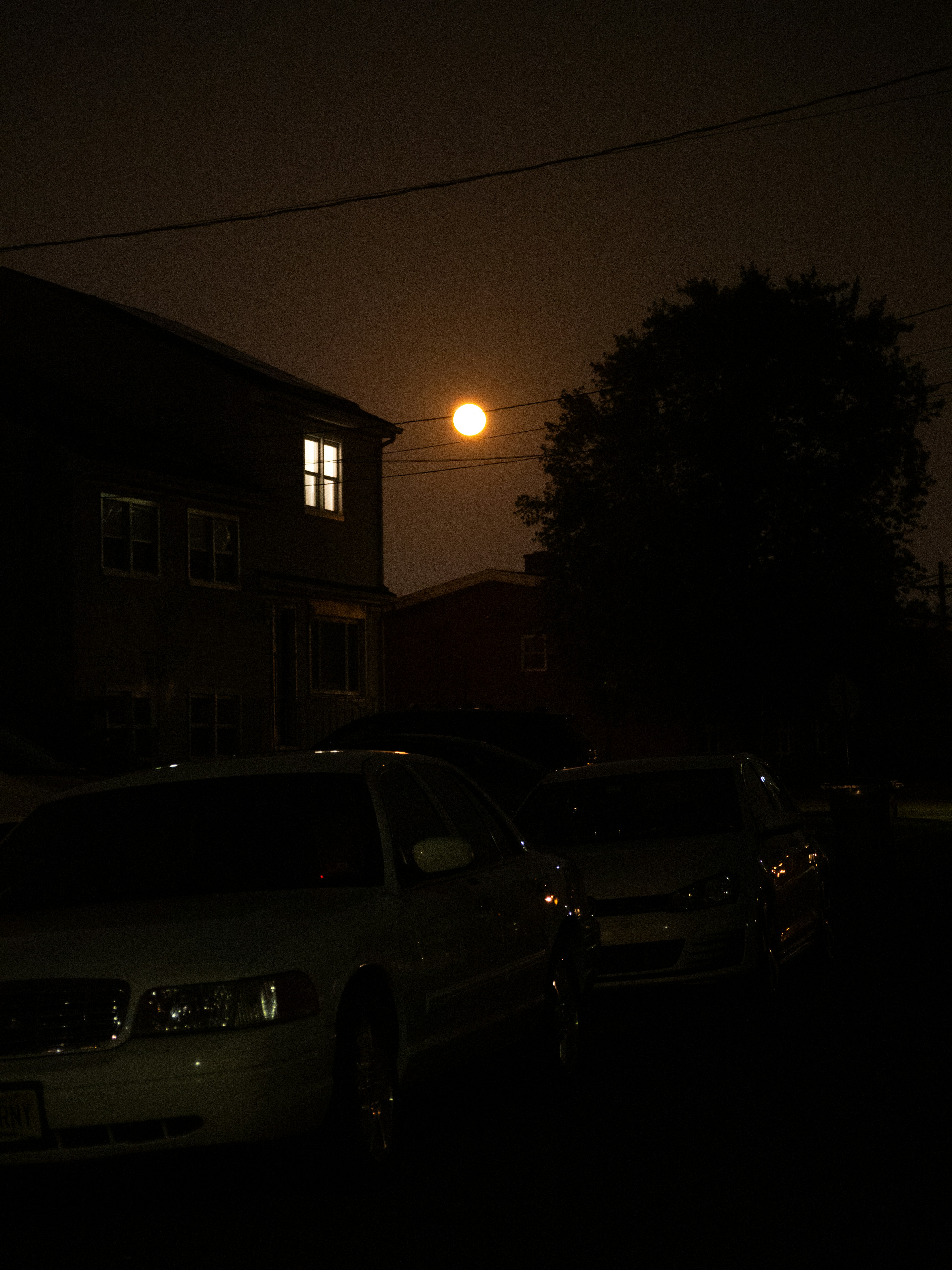Moonlit Urban Serenity