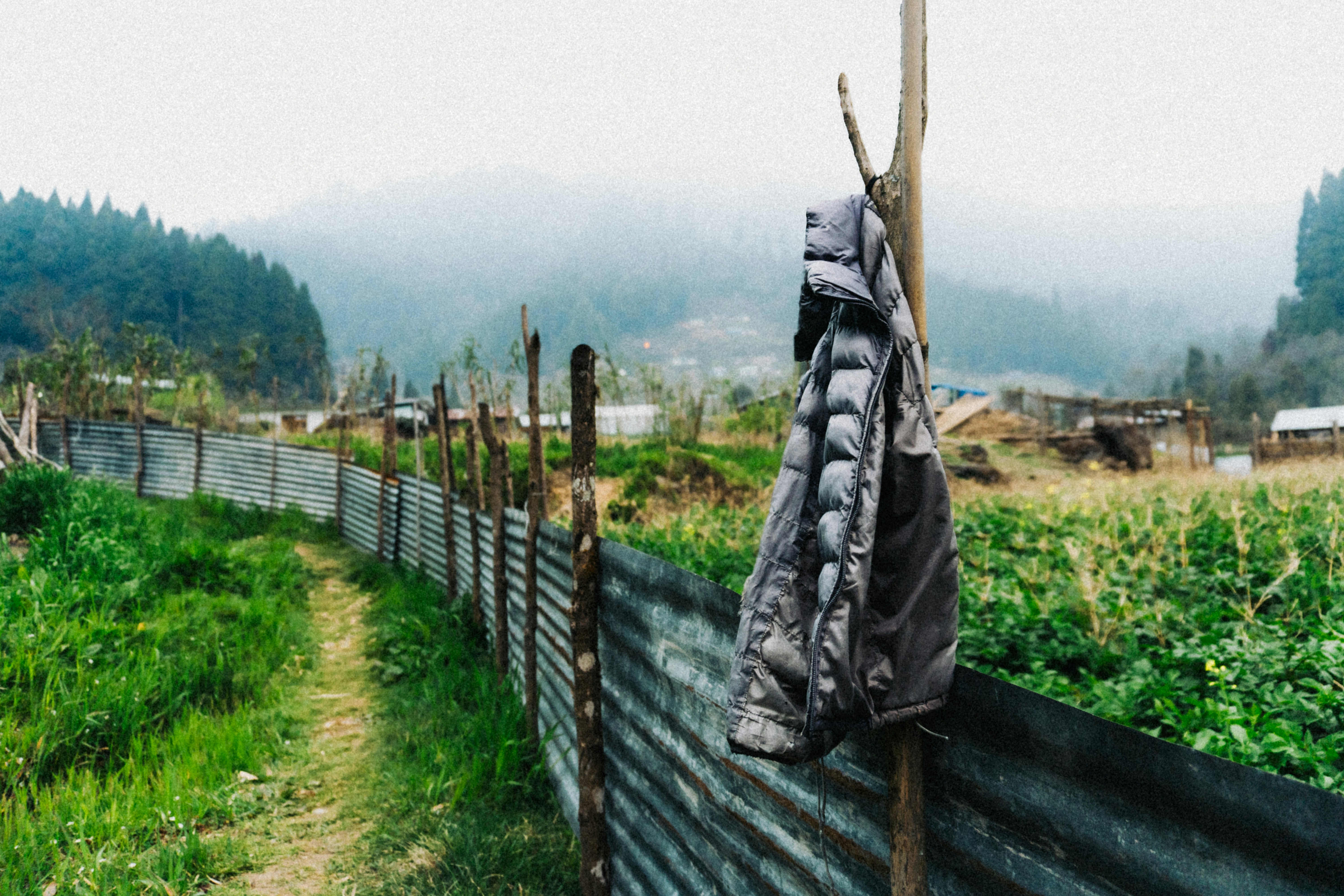 Whispers of the Wilderness: A Jacket's Solitude