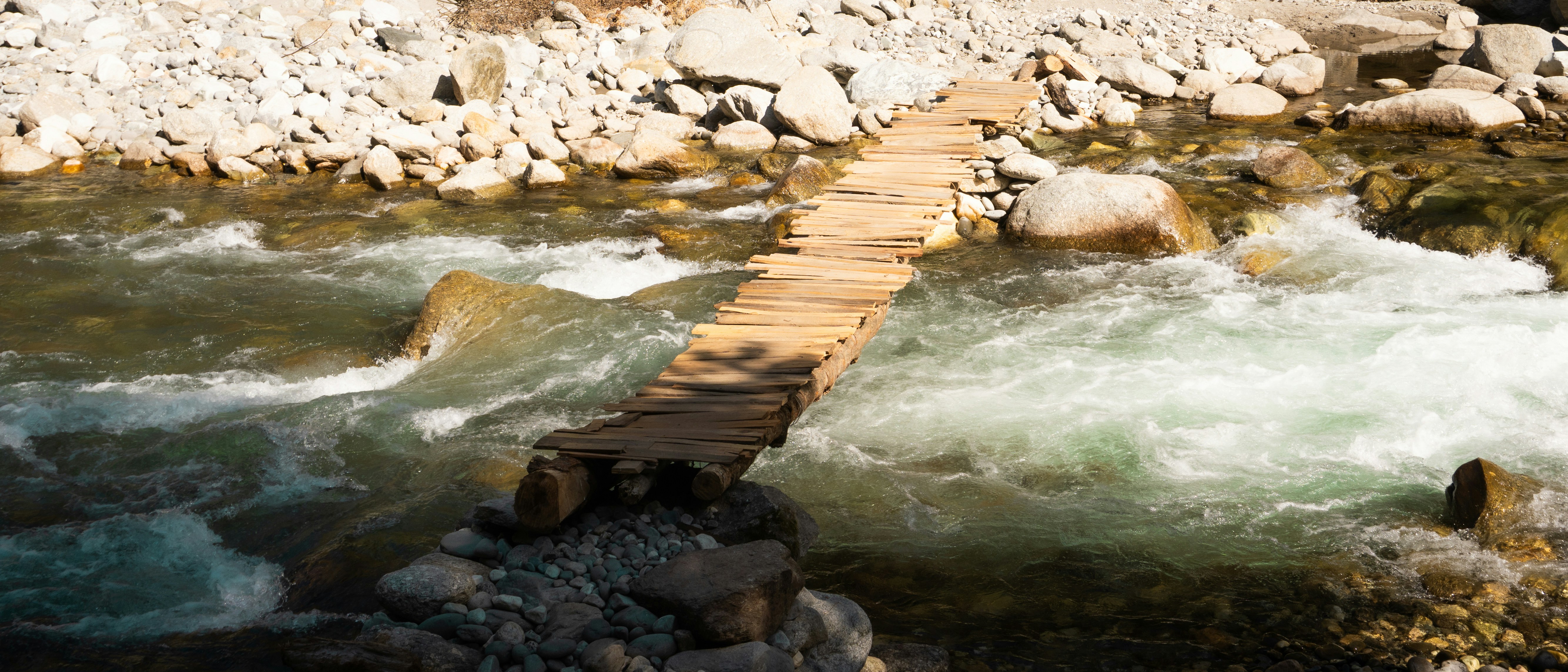 Nature's Bridge: A Wooden Path Across the Flowing Waters