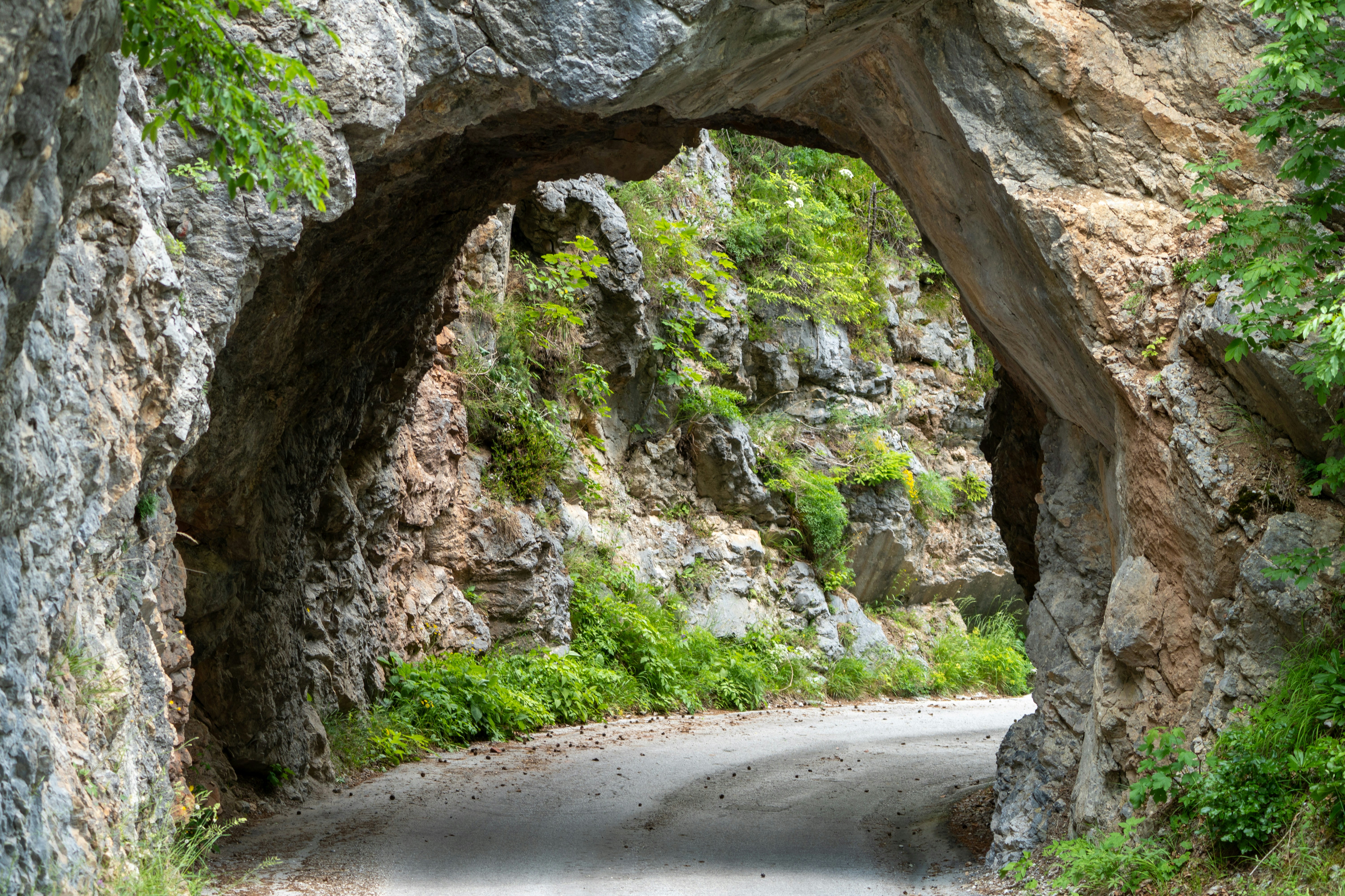 A narrow mountain road winds through a natural stone archway, carved into rugged rock and surrounded by lush greenery. This hidden passage blends geological wonder with serene wilderness, inviting exploration into Slovenia’s alpine terrain. | A road passes through a naturally formed stone arch.